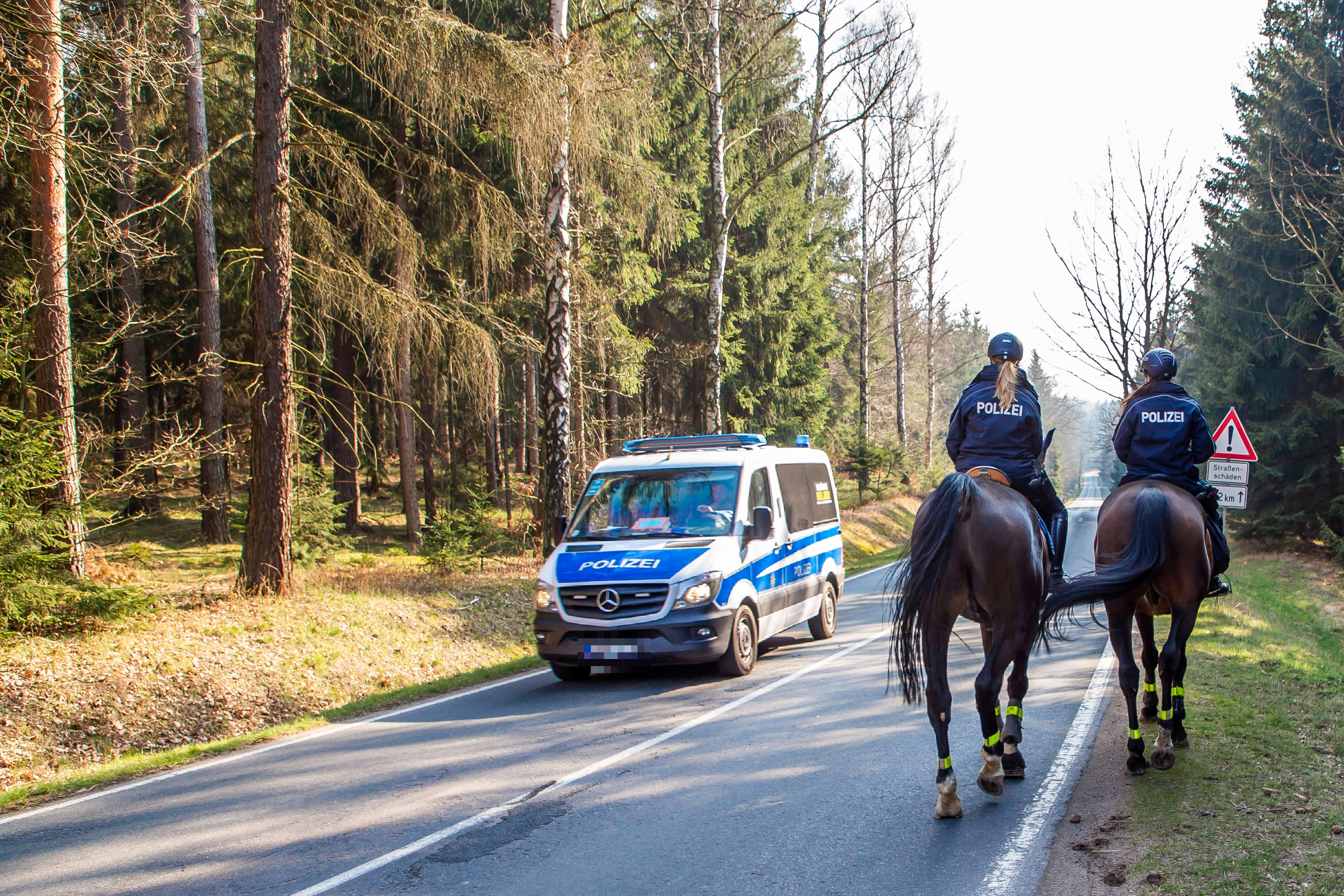 Pferde gehen in Wald bei Ansbach durch: Polizei-Reiterstaffel sucht ...