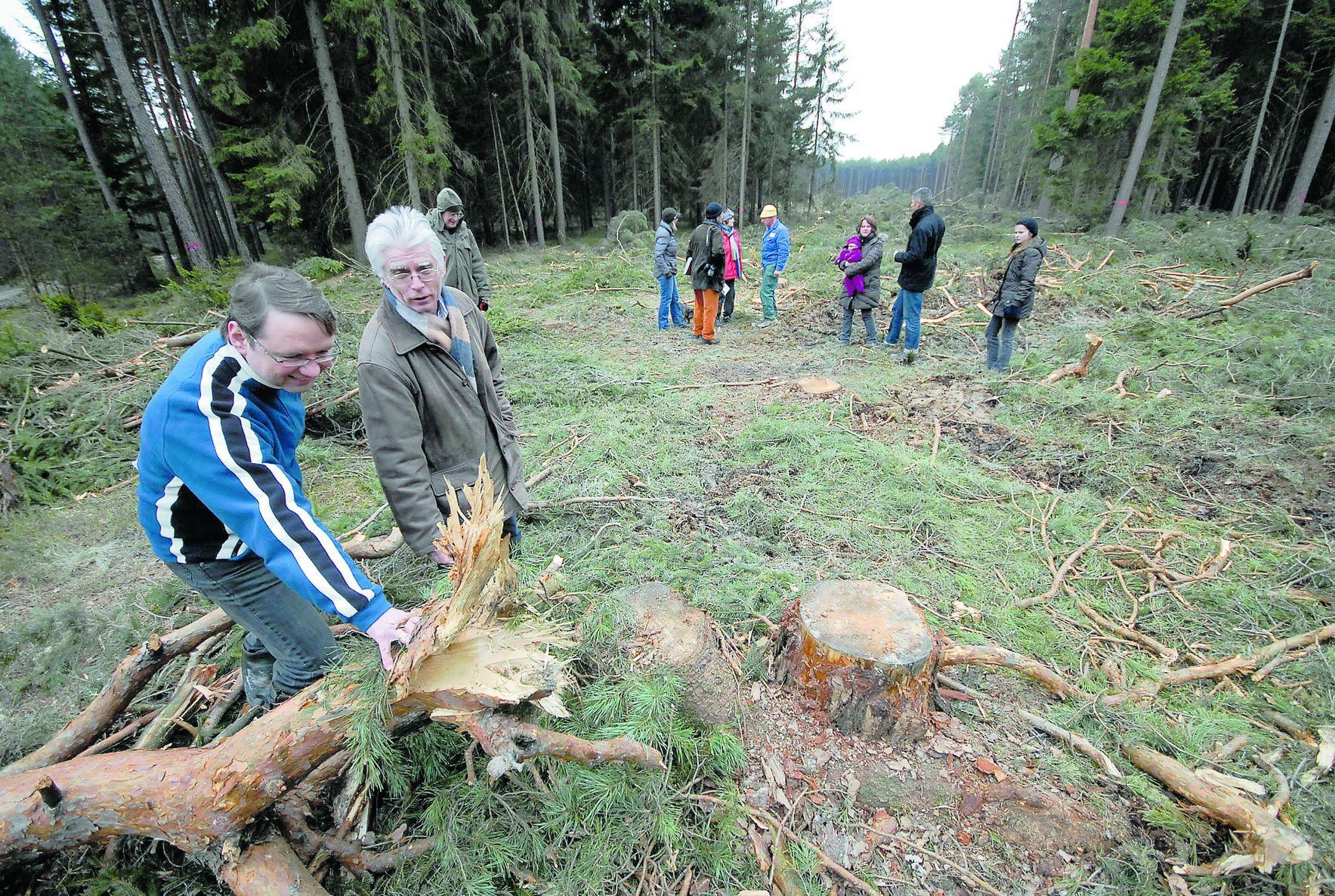 Empört über Rodung