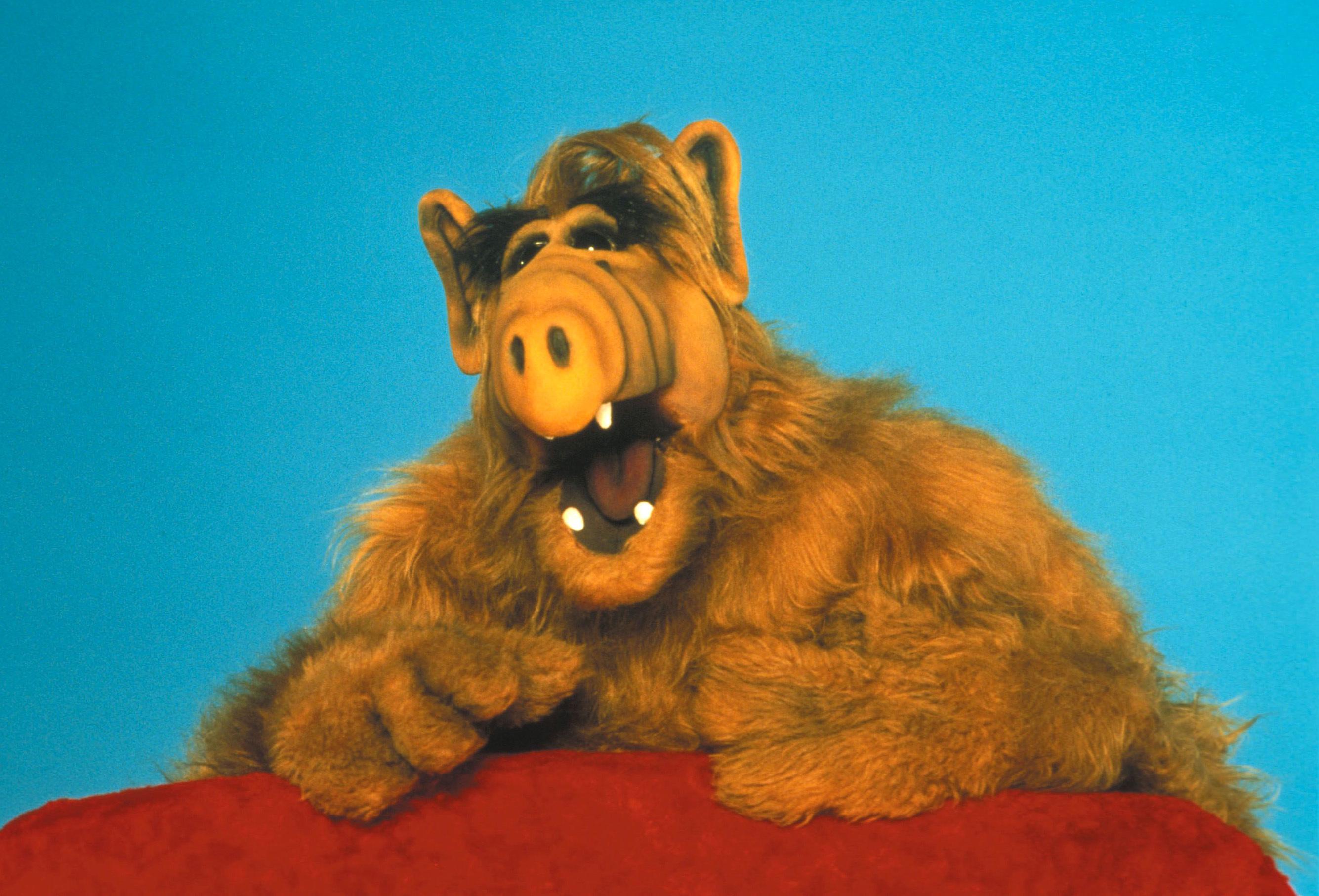 "Null Problemo": Zottelmonster Alf wird 35