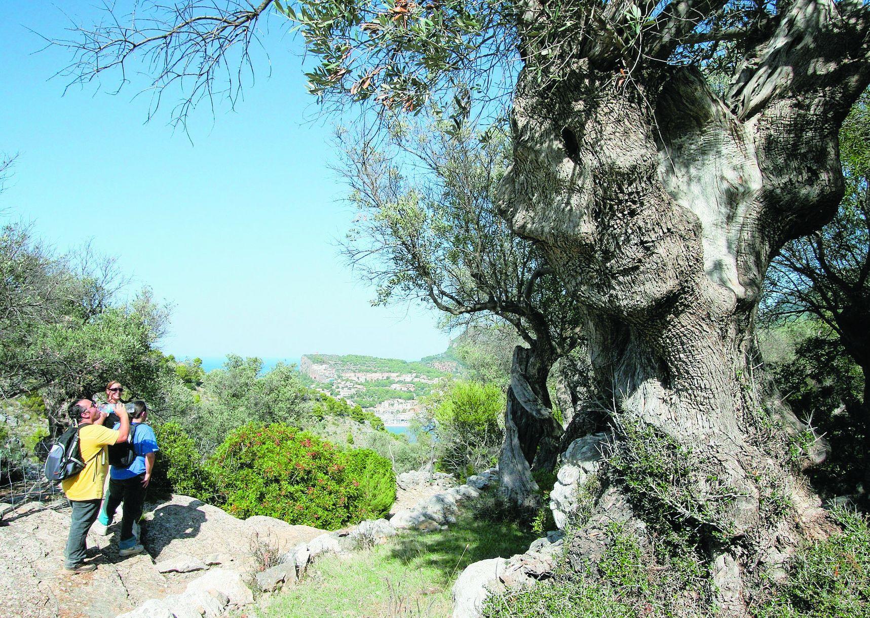 Steinalte Wegbegleiter