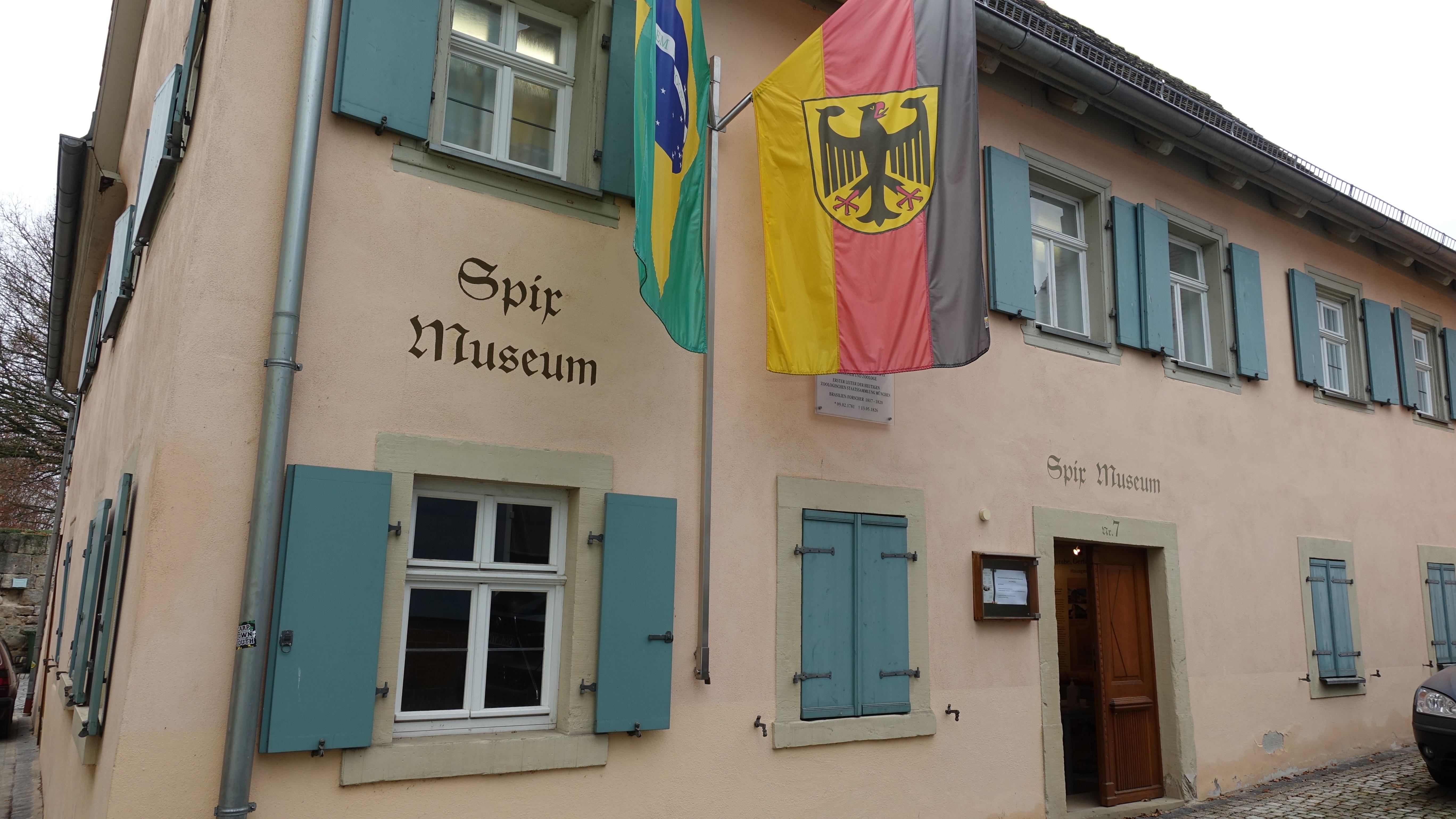Spix-Museum in Höchstadt: Ein virtueller Rundgang in Corona-Zeiten ...