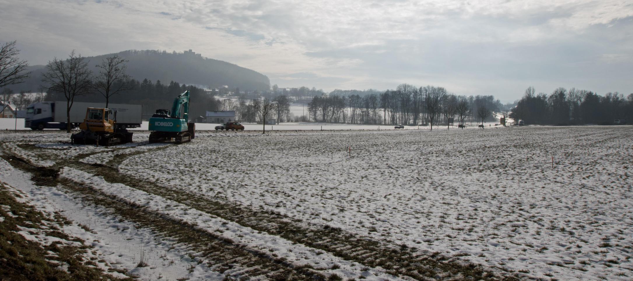 Fuchs Europoles zieht in Neumarkt auf die grüne Wiese