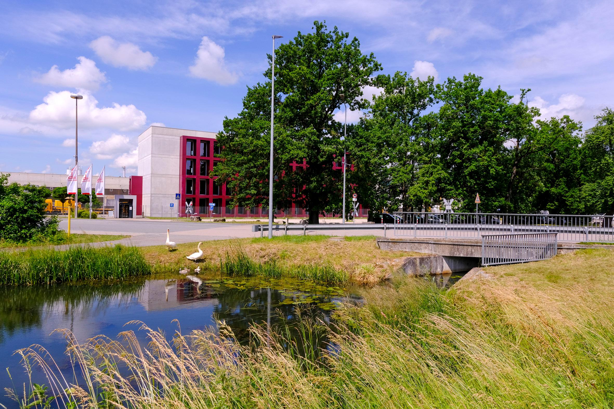 Sengenthal: Charmante Gemeinde mit geologischen, botanischen und ...