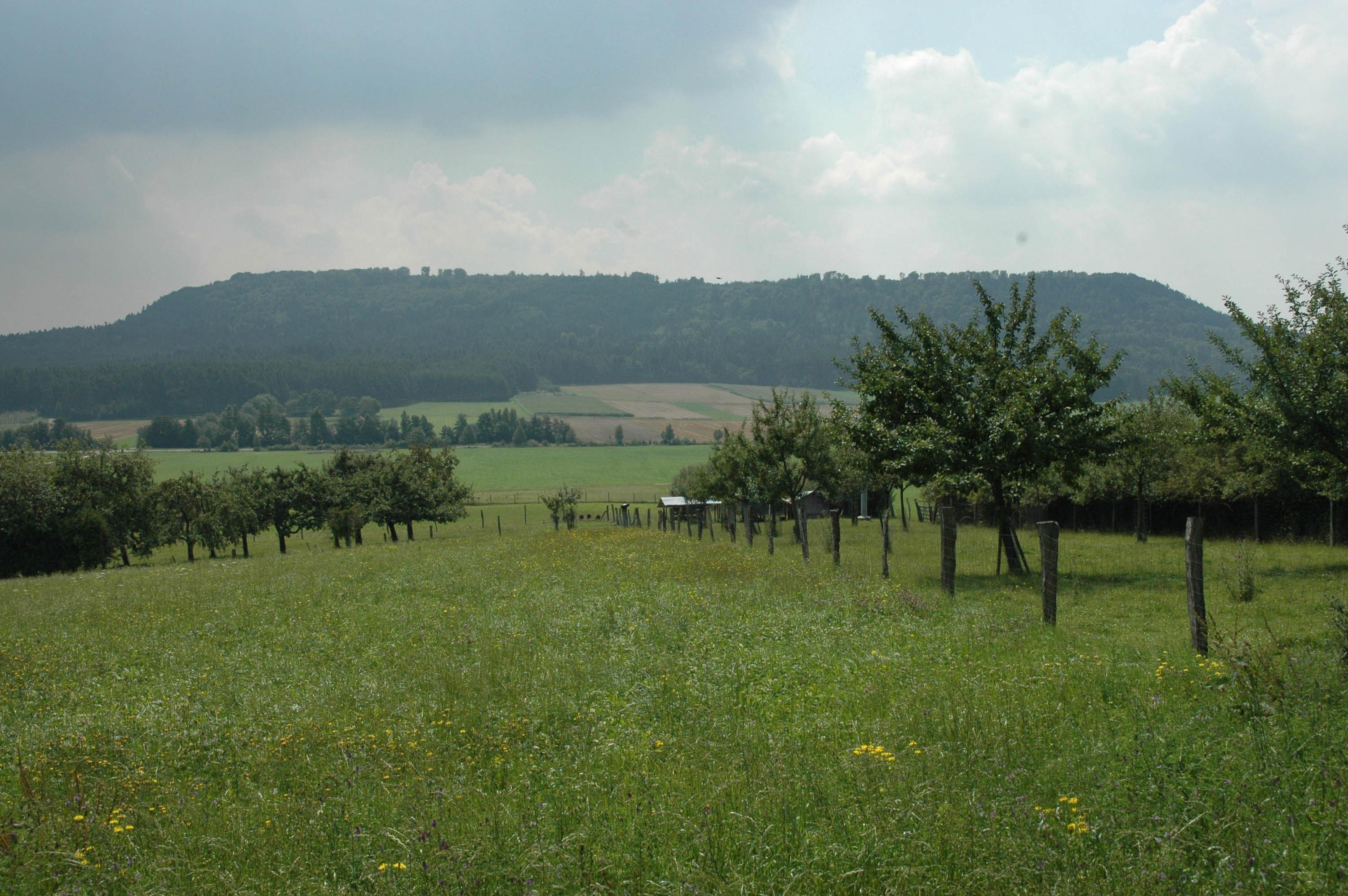 Sengenthal: Charmante Gemeinde mit geologischen, botanischen und ...