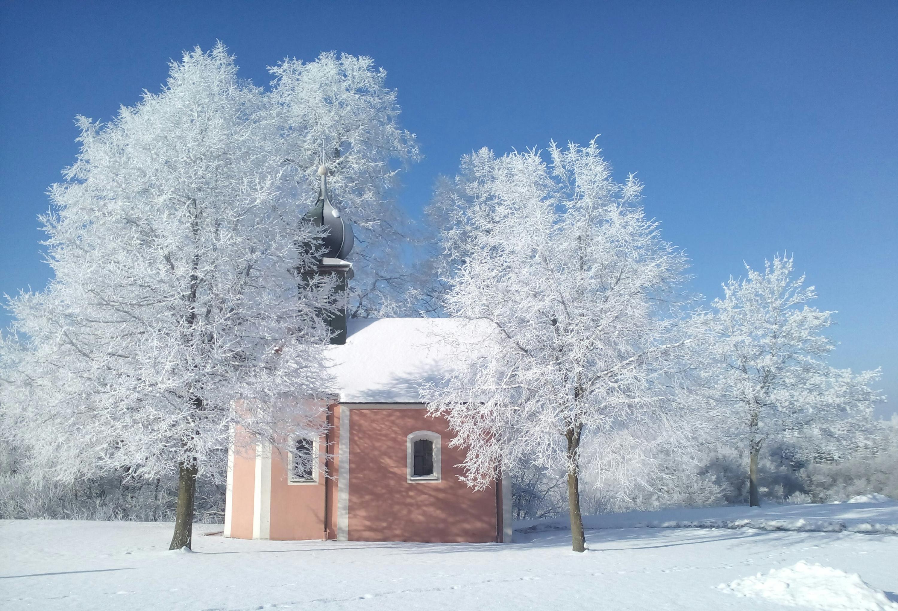 Sengenthal: Charmante Gemeinde mit geologischen, botanischen und ...
