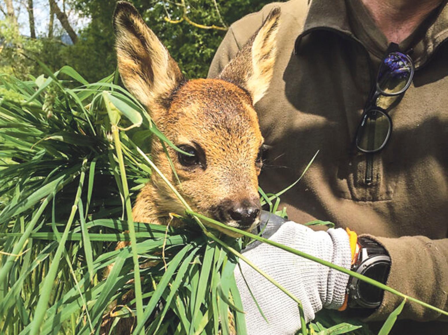 Rehkitzrettung aus der Luft