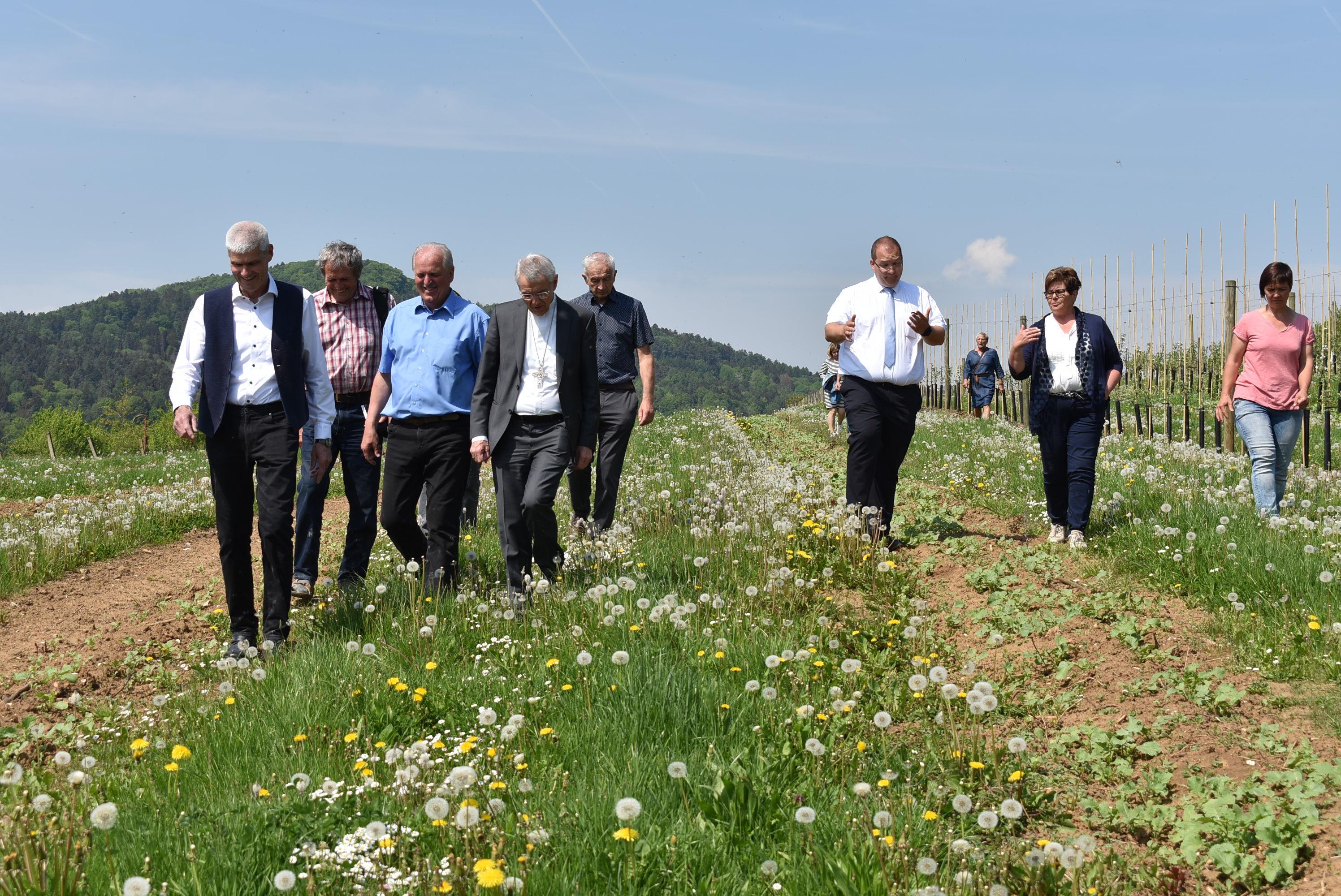 Landwirte sehen sich angefeindet: Erzbischof besucht Bauernhof in Igensdorf