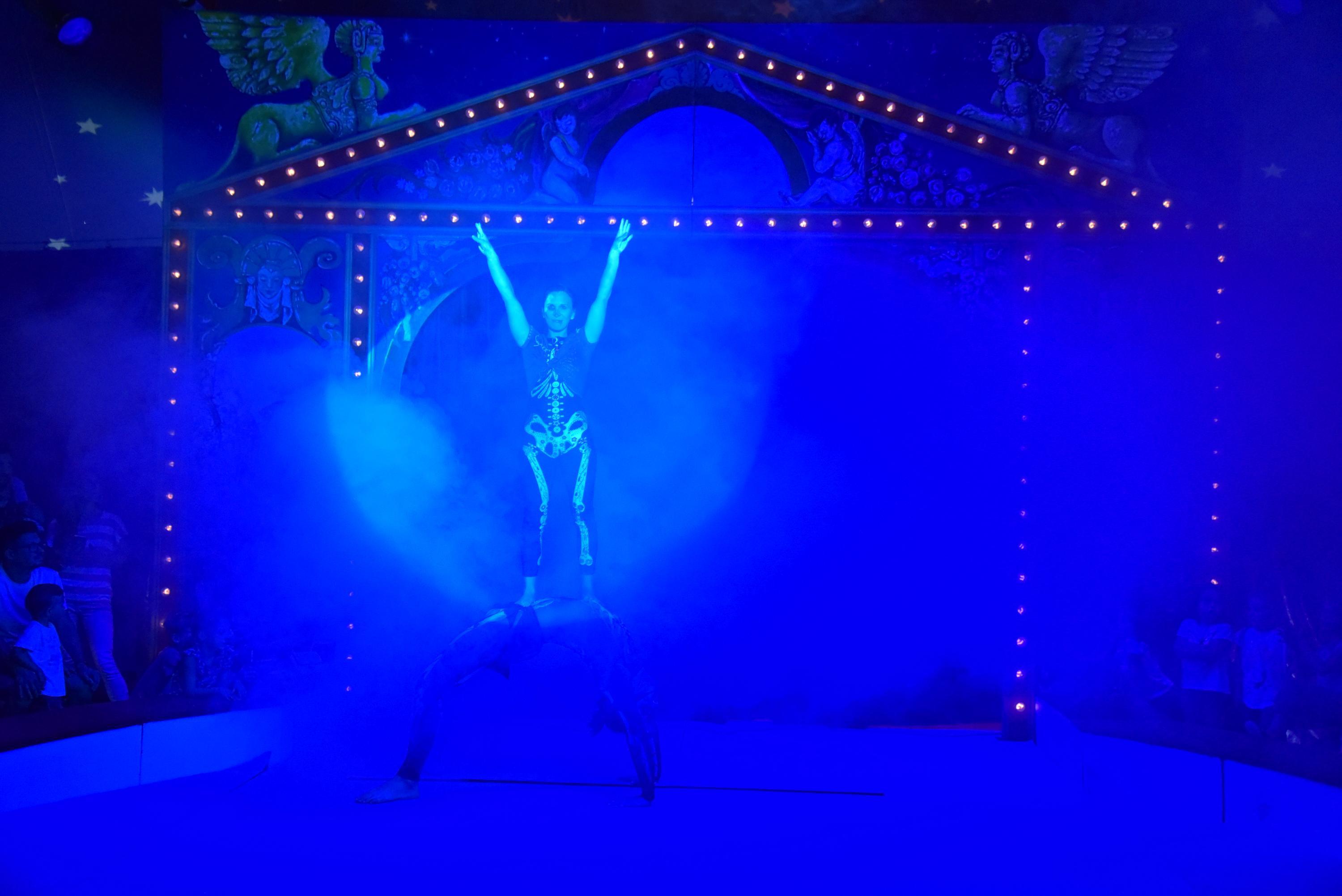 Endlich wieder "Manege frei" im Circus Sambesi