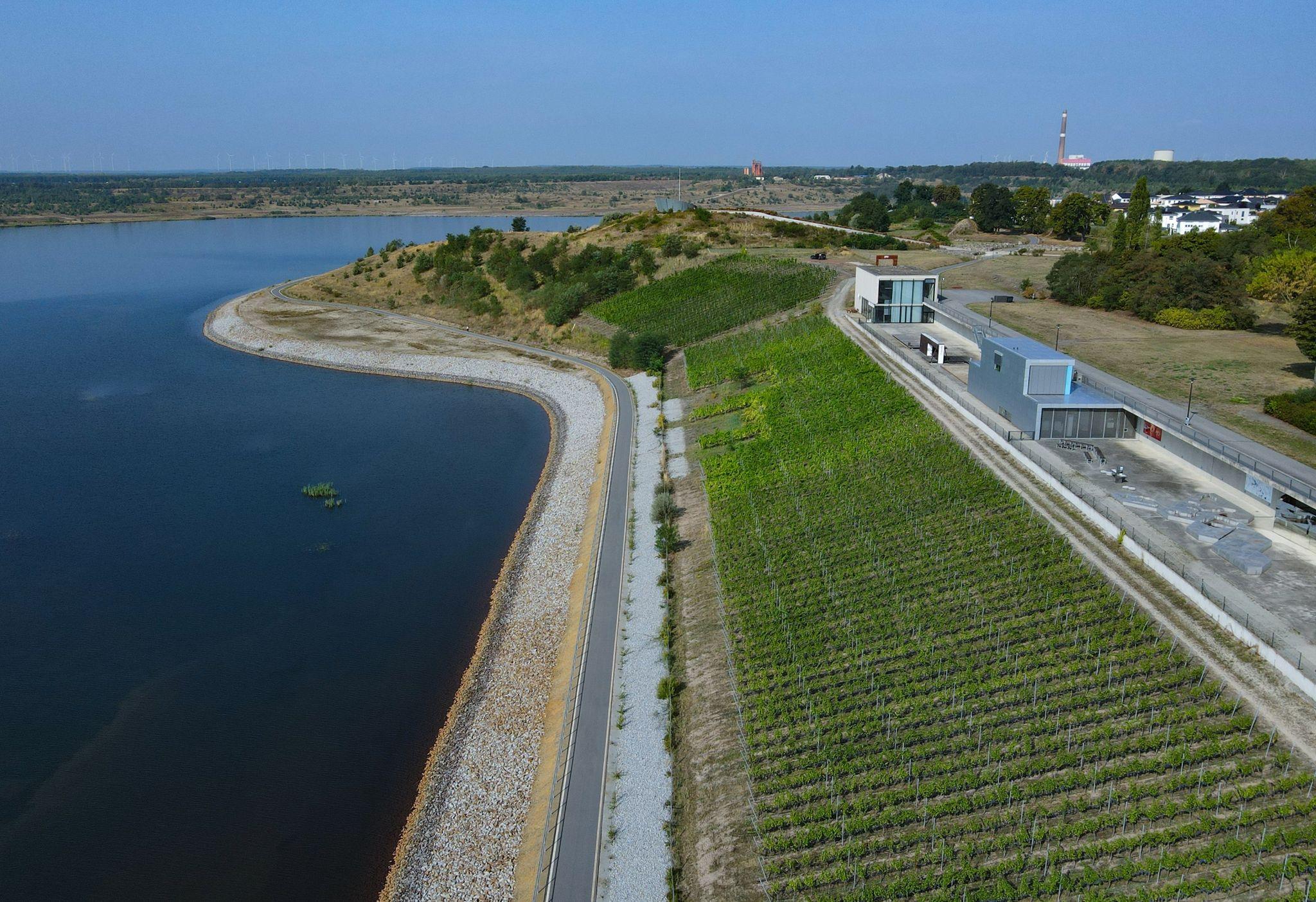 Toskana-Flair in der Lausitz: Weinanbau als Kulturlandschaft