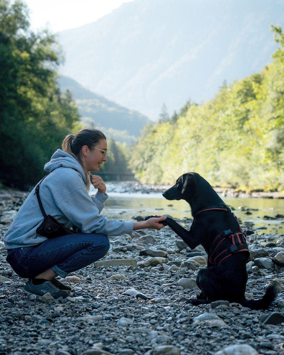 Uni Erlangen-Nürnberg: So klappt das Studium mit Hund