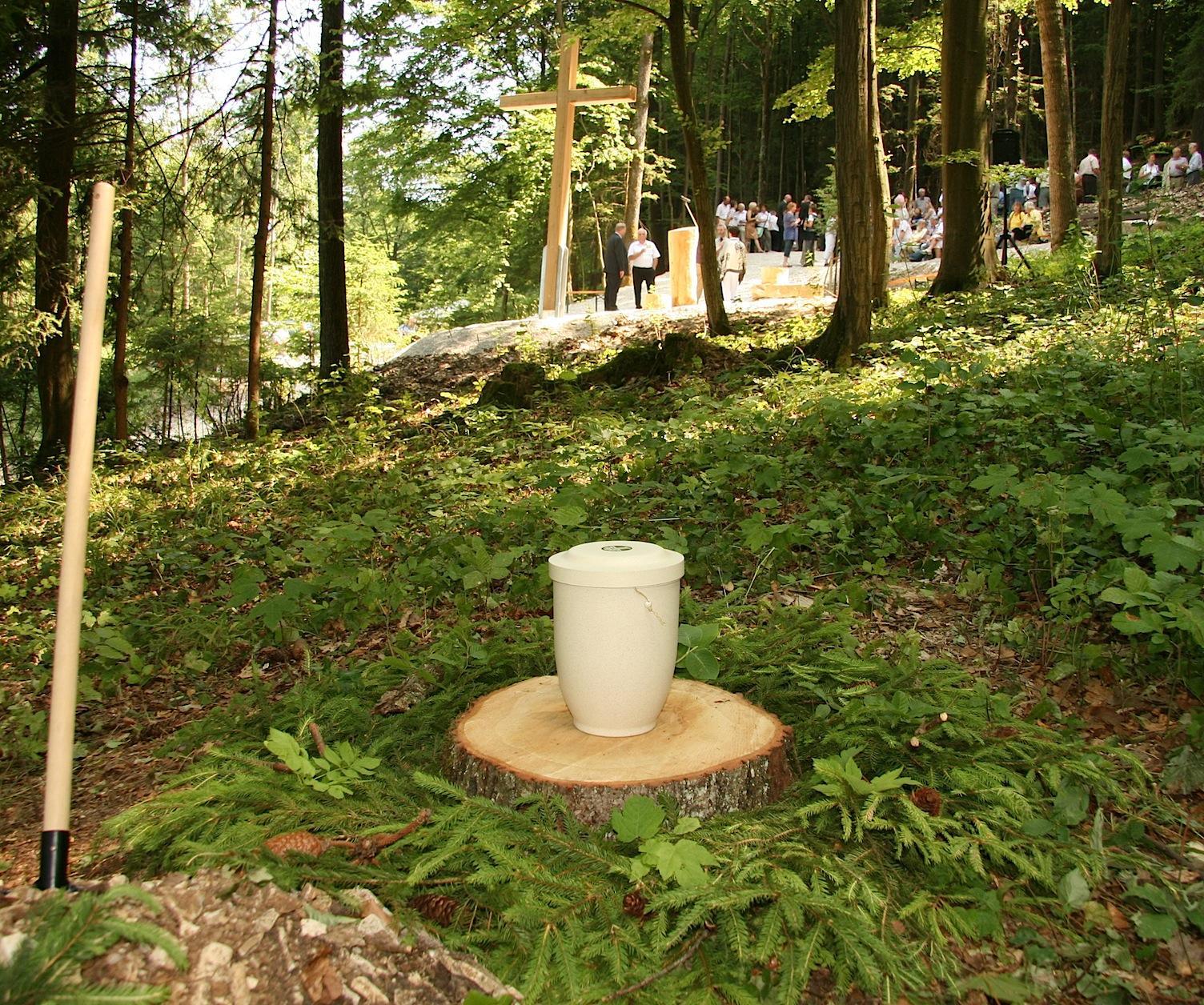 Ebermannstadt: Ruhestätten im Friedwald werden bald teurer