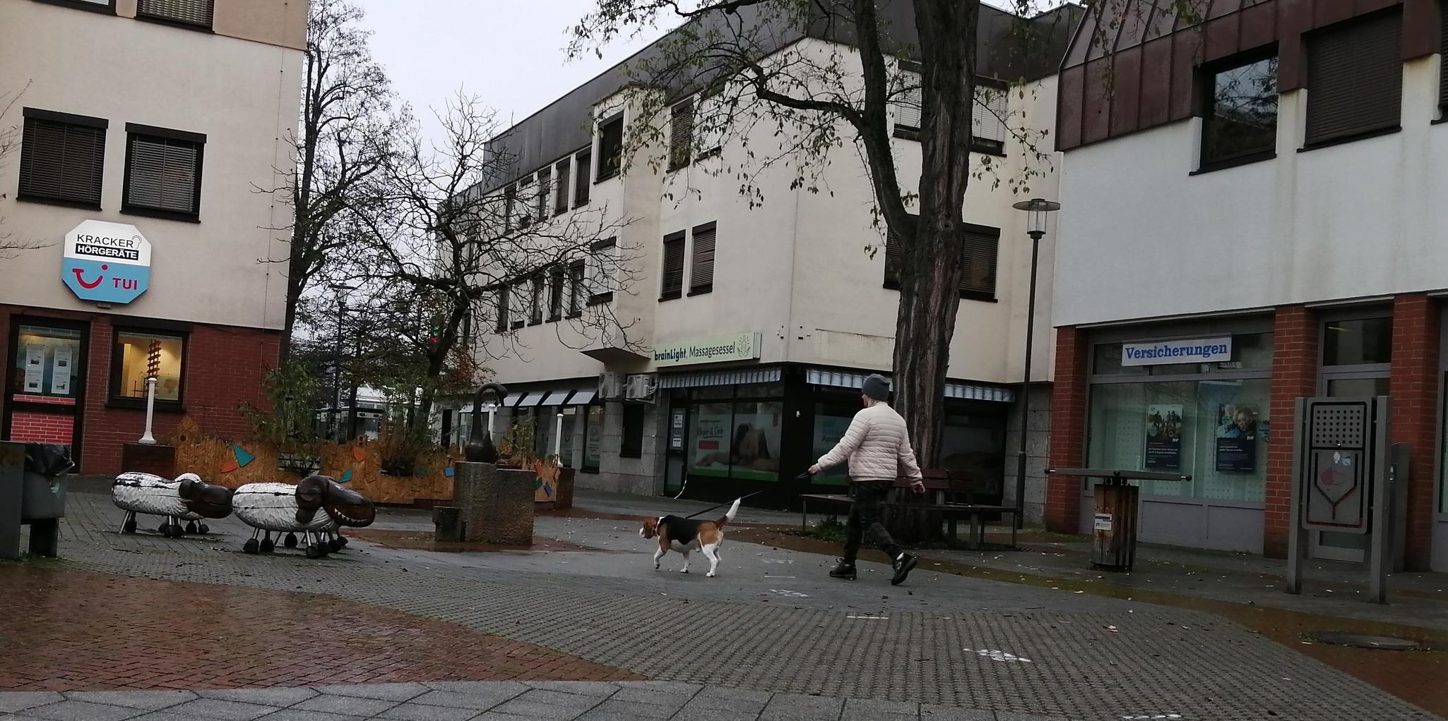 Unter den Magnolien: So soll Oberasbach rund ums Rathaus aufblühen