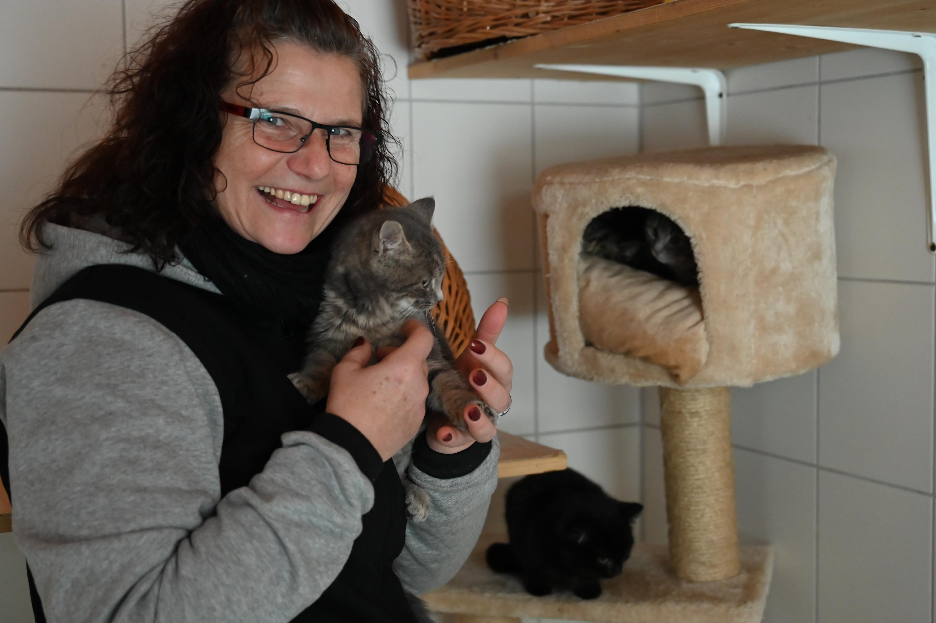 Abgabestopp im Rother Tierheim: Darum ist diese Jahreszeit gefährlich für Hunde und Katzen