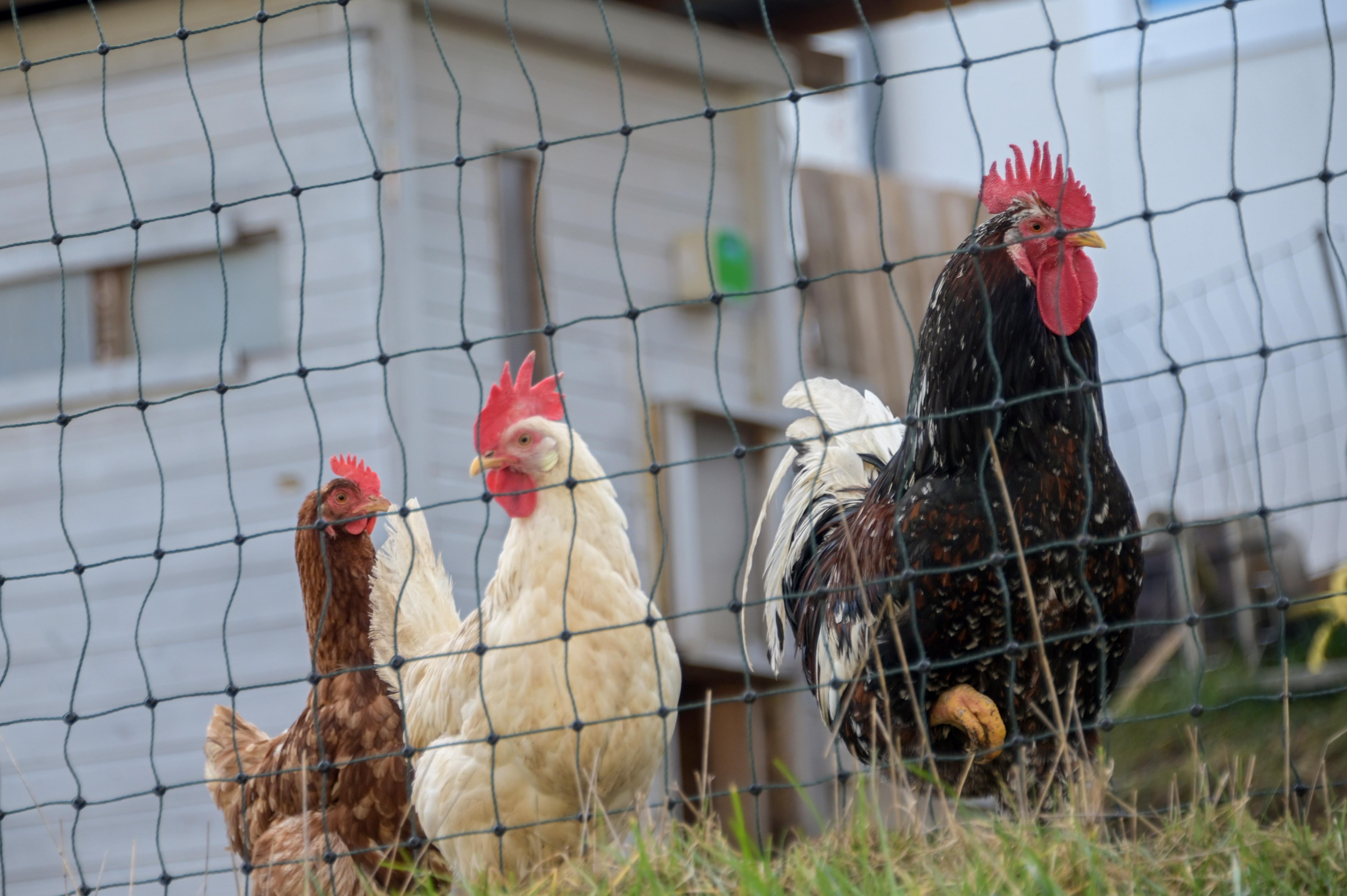 Ausblick vom höchsten Punkt im Land: So schön ist Wichsenstein in der ...