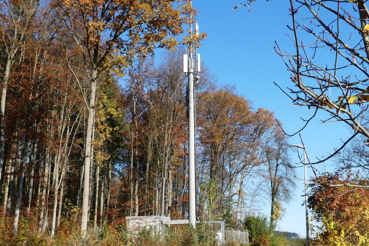 Bayerische Mobilfunk GmbH bekommt Auftrag