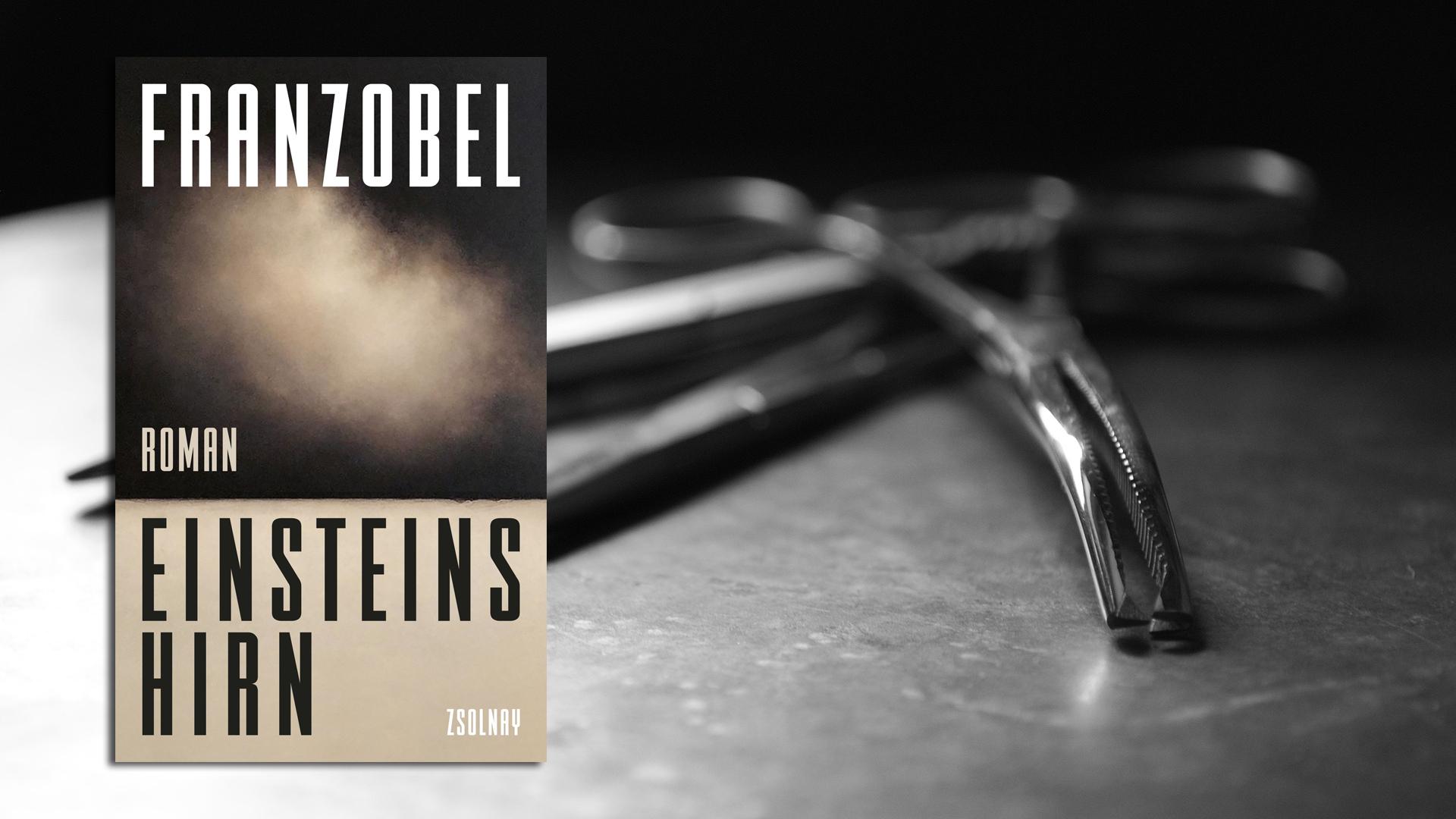 Juli Zeh, Peter Stamm, Annie Ernaux: Unsere Buchtipps für den Februar 2023