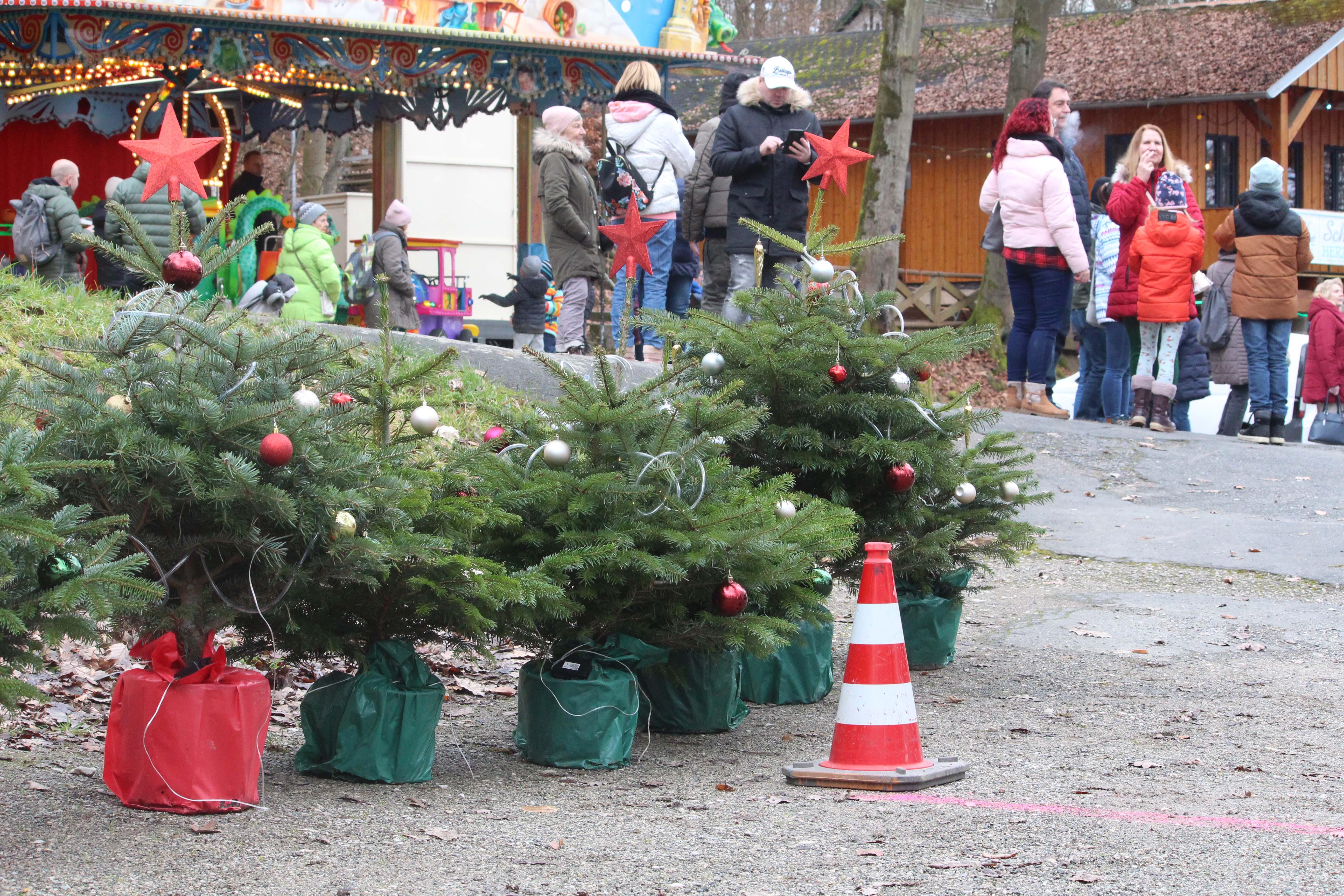 Christbäume fliegen durch den Wald: Die Bilder vom ersten Winterzauber ...