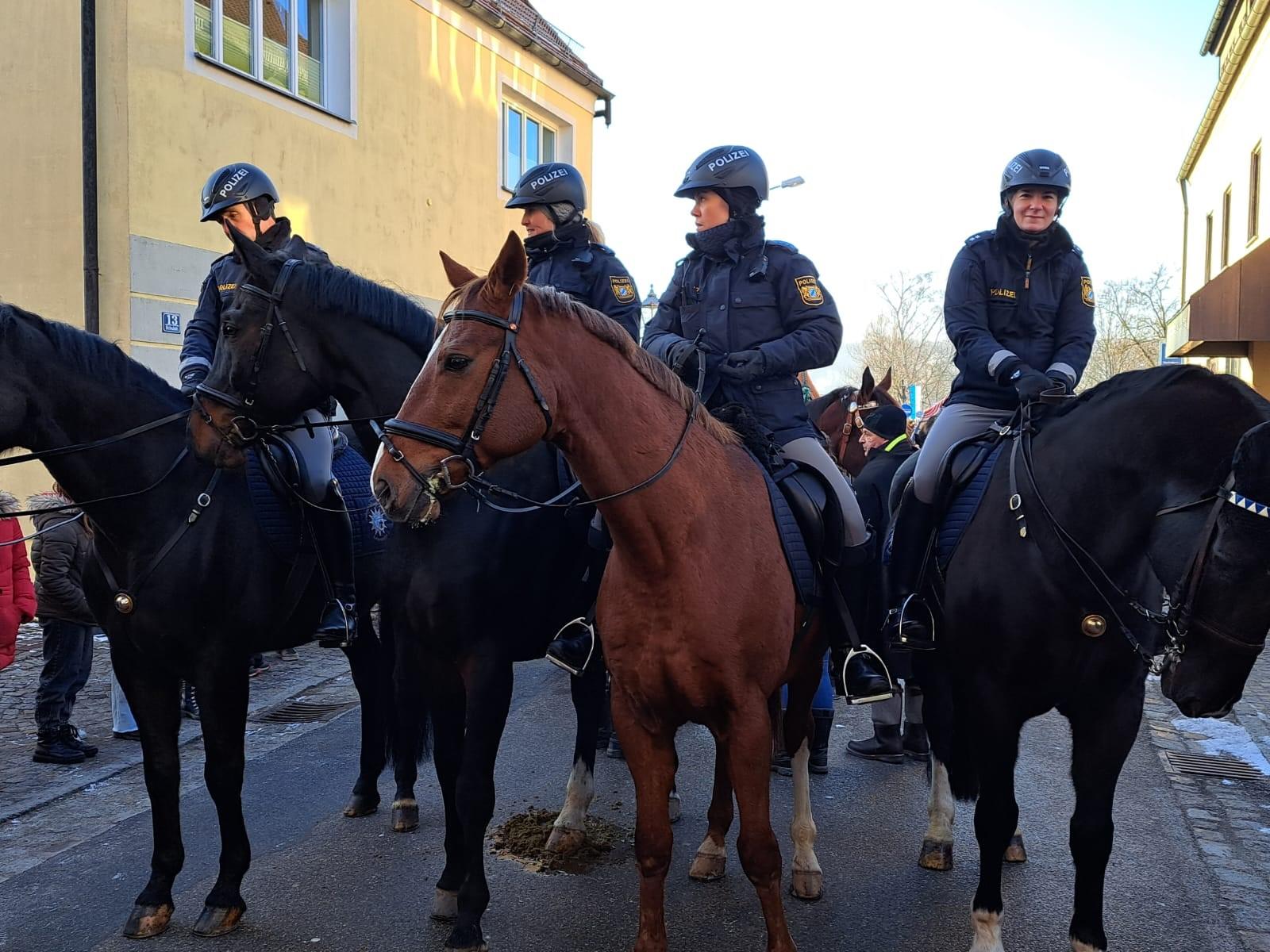 Rösser unter strahlender Wintersonne: Der Rossmarkt in Berching startet