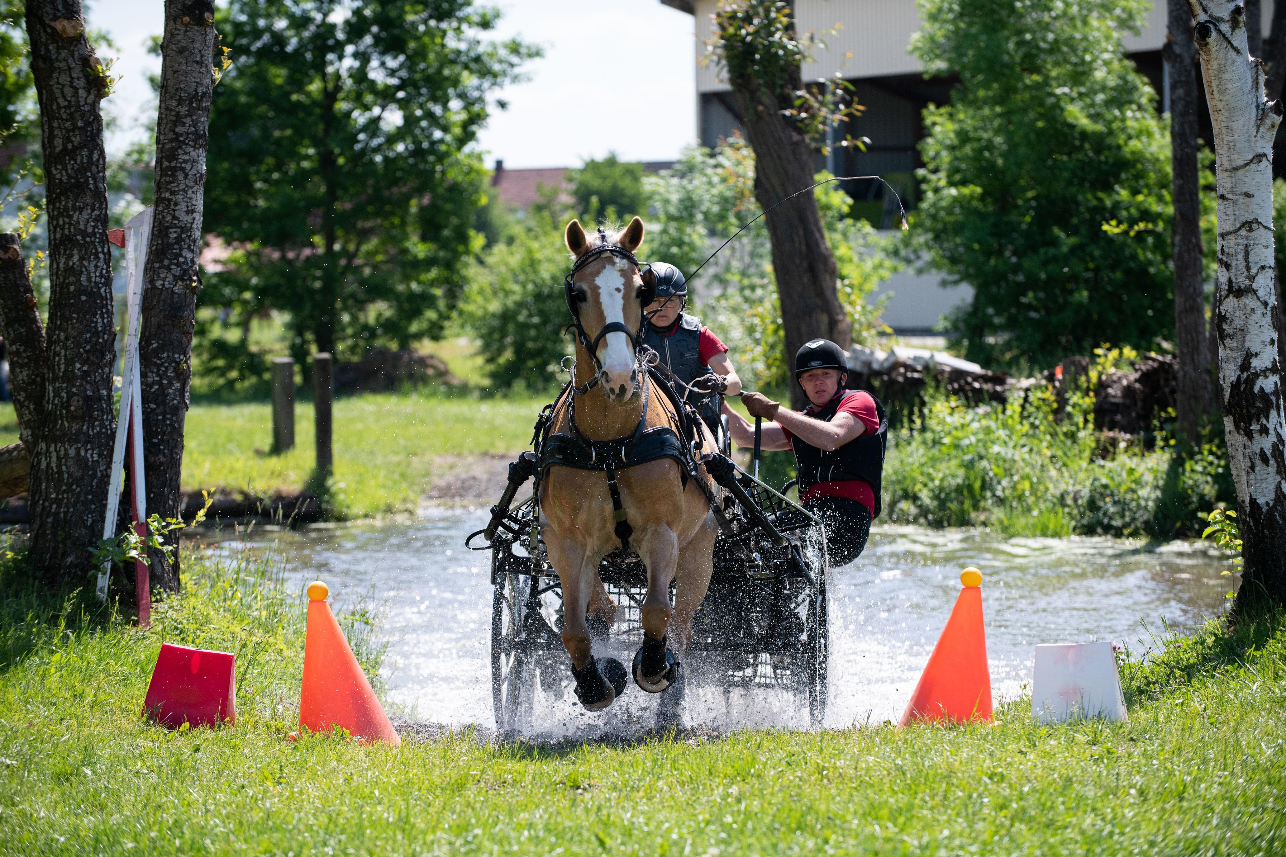 Niederlindacherin Silke Zenkel bekommt das Goldene Fahrabzeichen