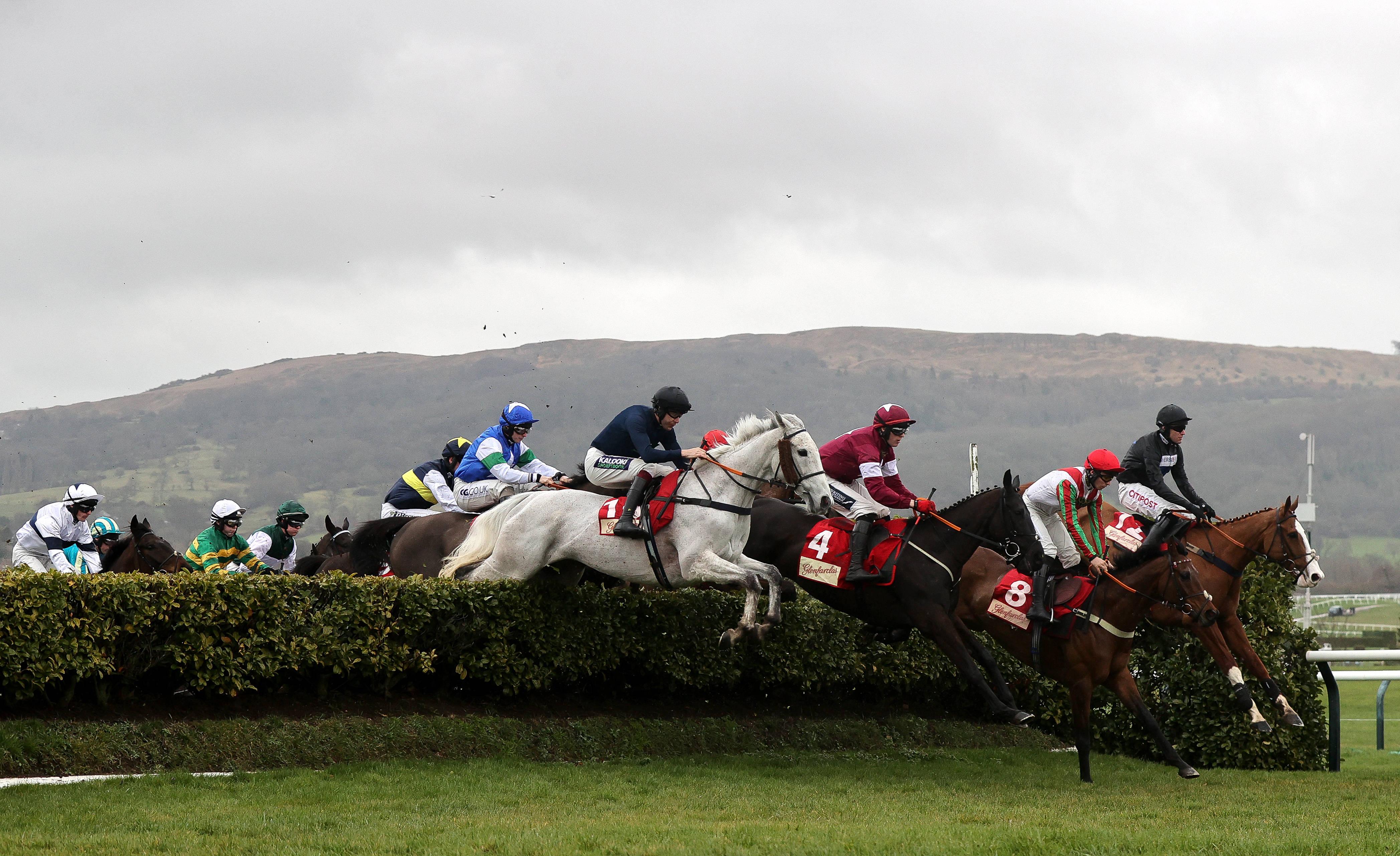 Wallach Malinello stirbt beim Cheltenham Festival in England nach ...
