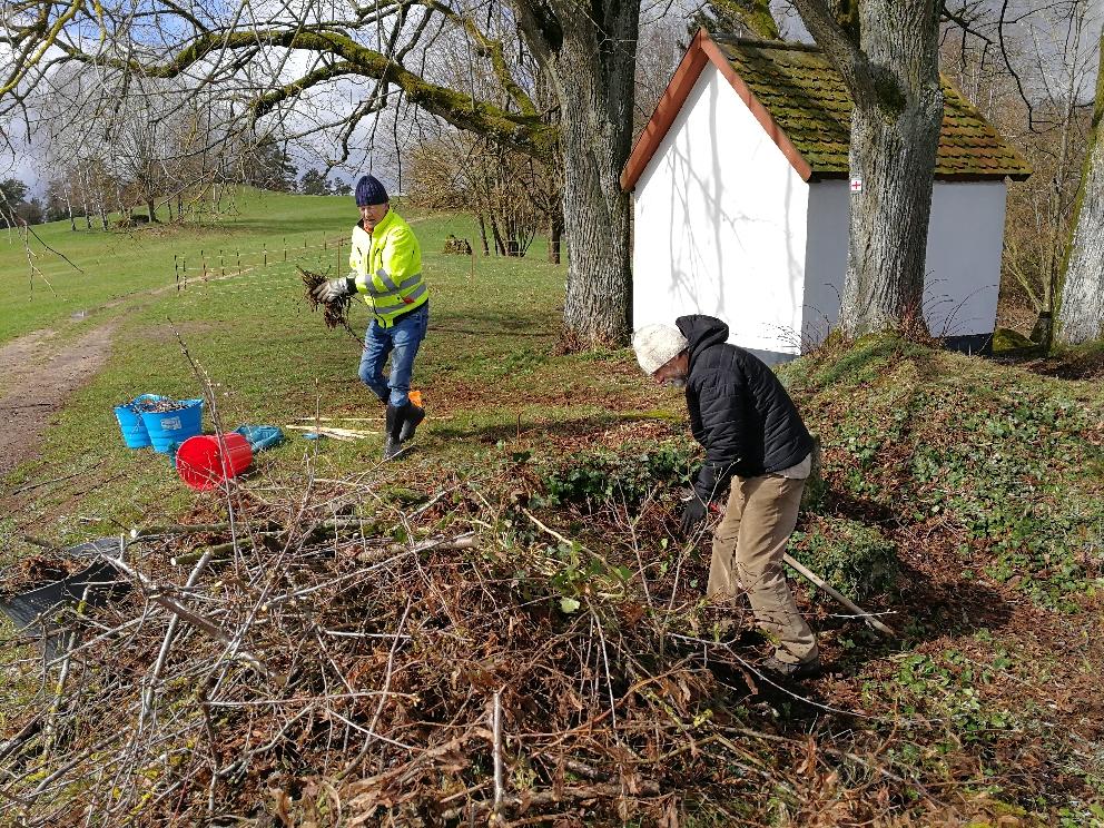 Sie alle haben beim Ramadama 2023 in Pegnitz geholfen