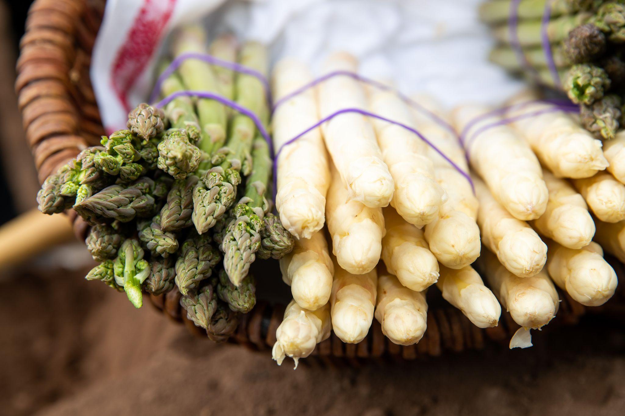 Spargel Gut Für Die Nieren