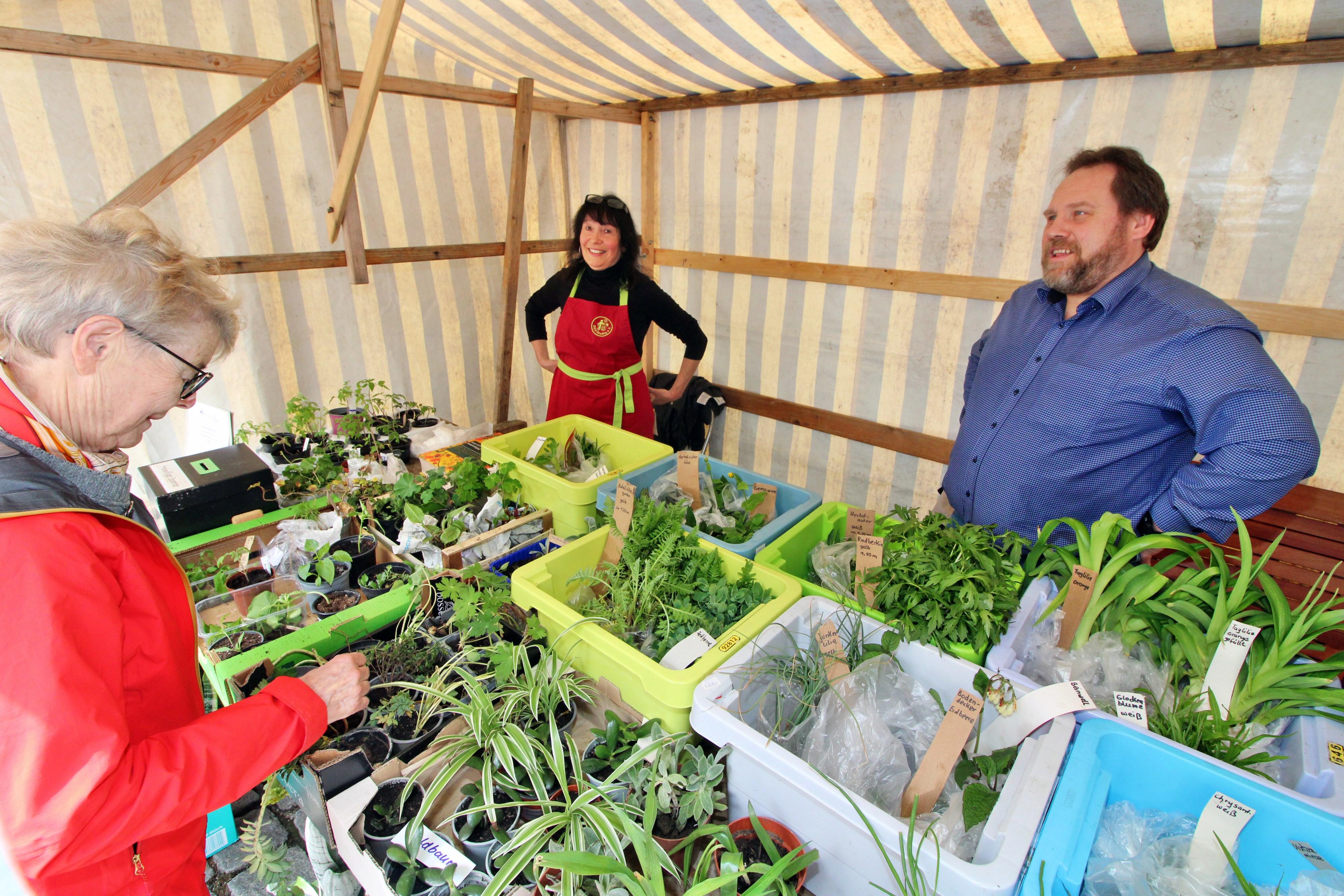 Alle Bilder zum Gredinger Frühlingsmarkt 2023