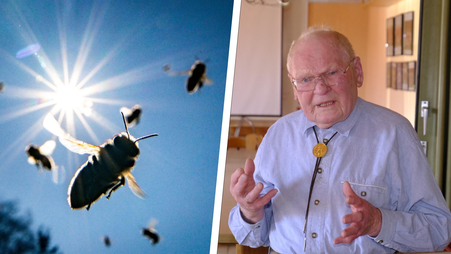"Bienenstiche gehören zum Leben": Michael Zeilinger hört nach 65 Jahren ...