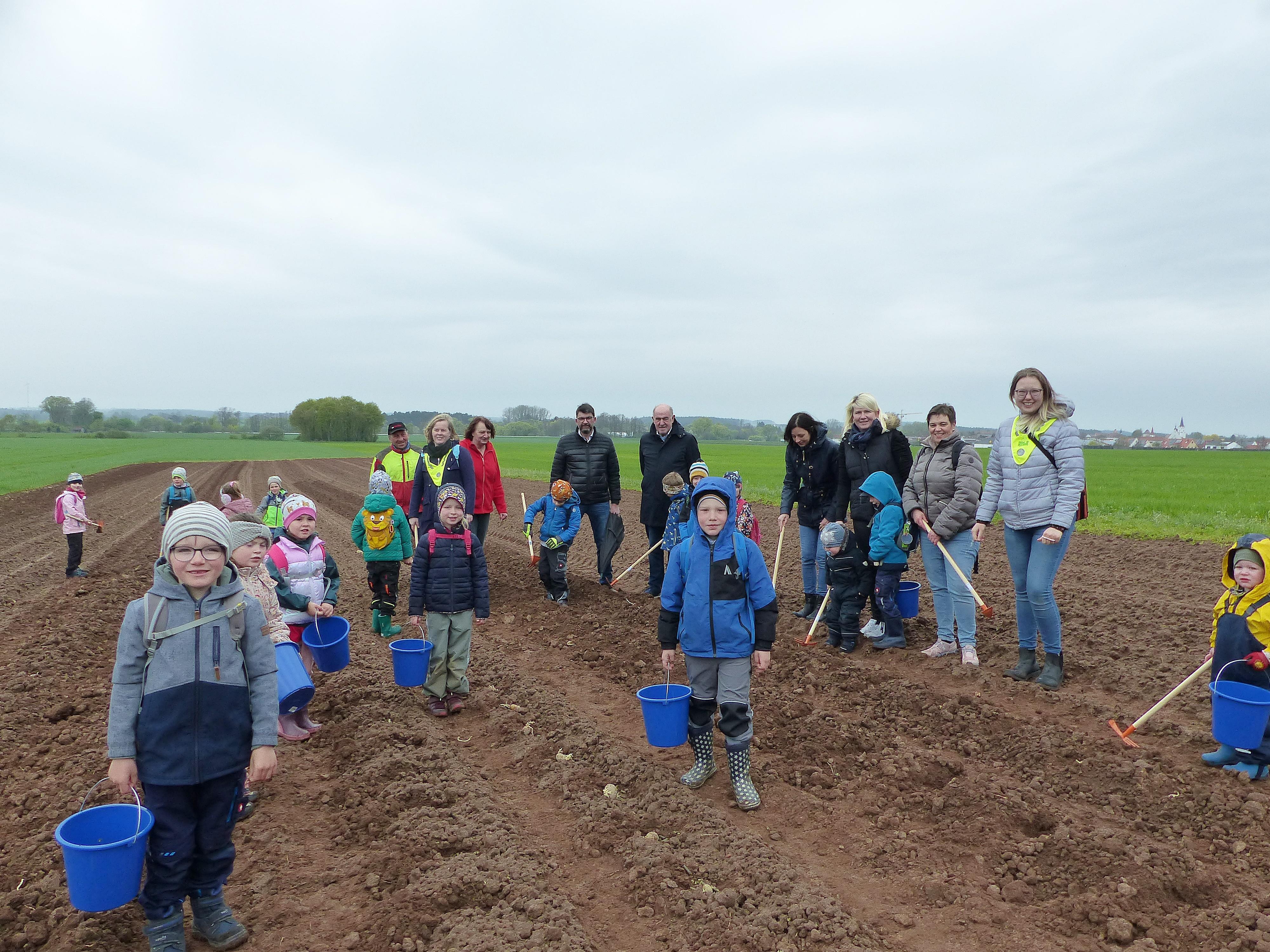 Kita-Kinder setzen Kartoffeln und hoffen auf reiche Ernte