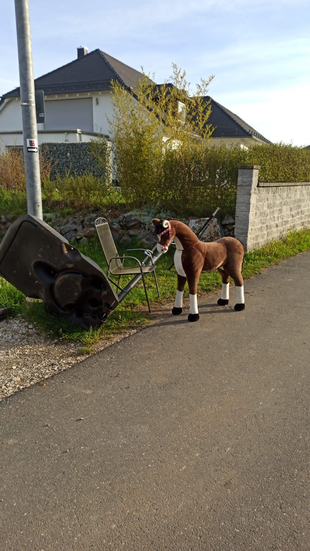 Heißer Ritt auf Spielzeugpferd und Dixi-WC auf Baustelle umgeworfen