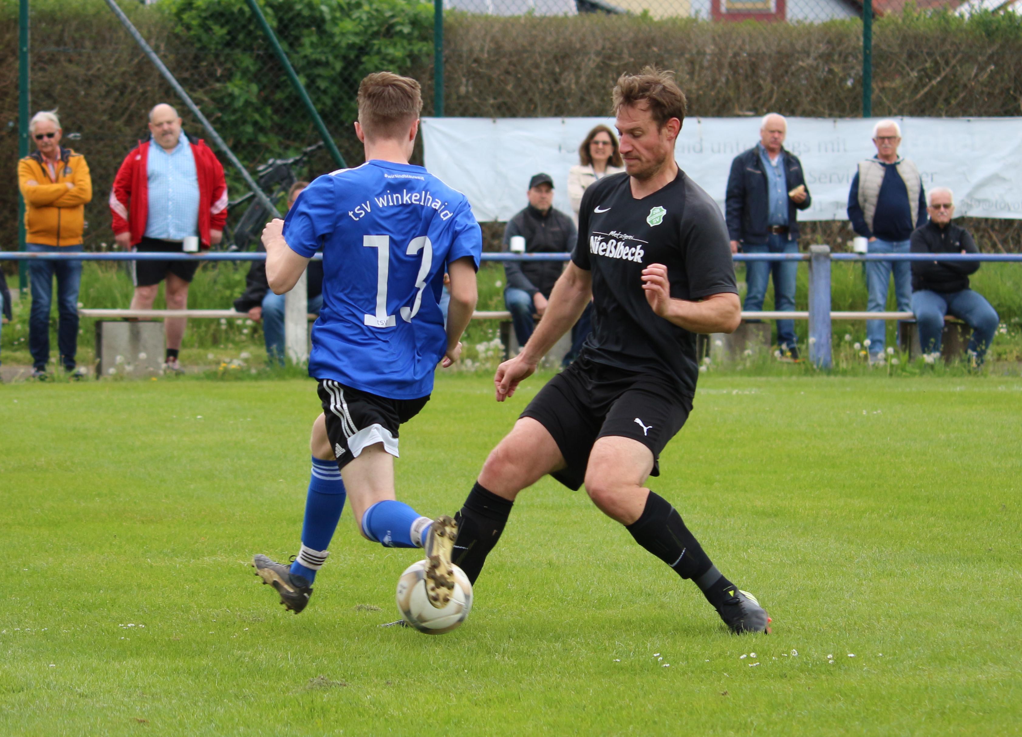 Der TSV Feucht holt wichtige Punkte im Abstiegskampf, wackere ...