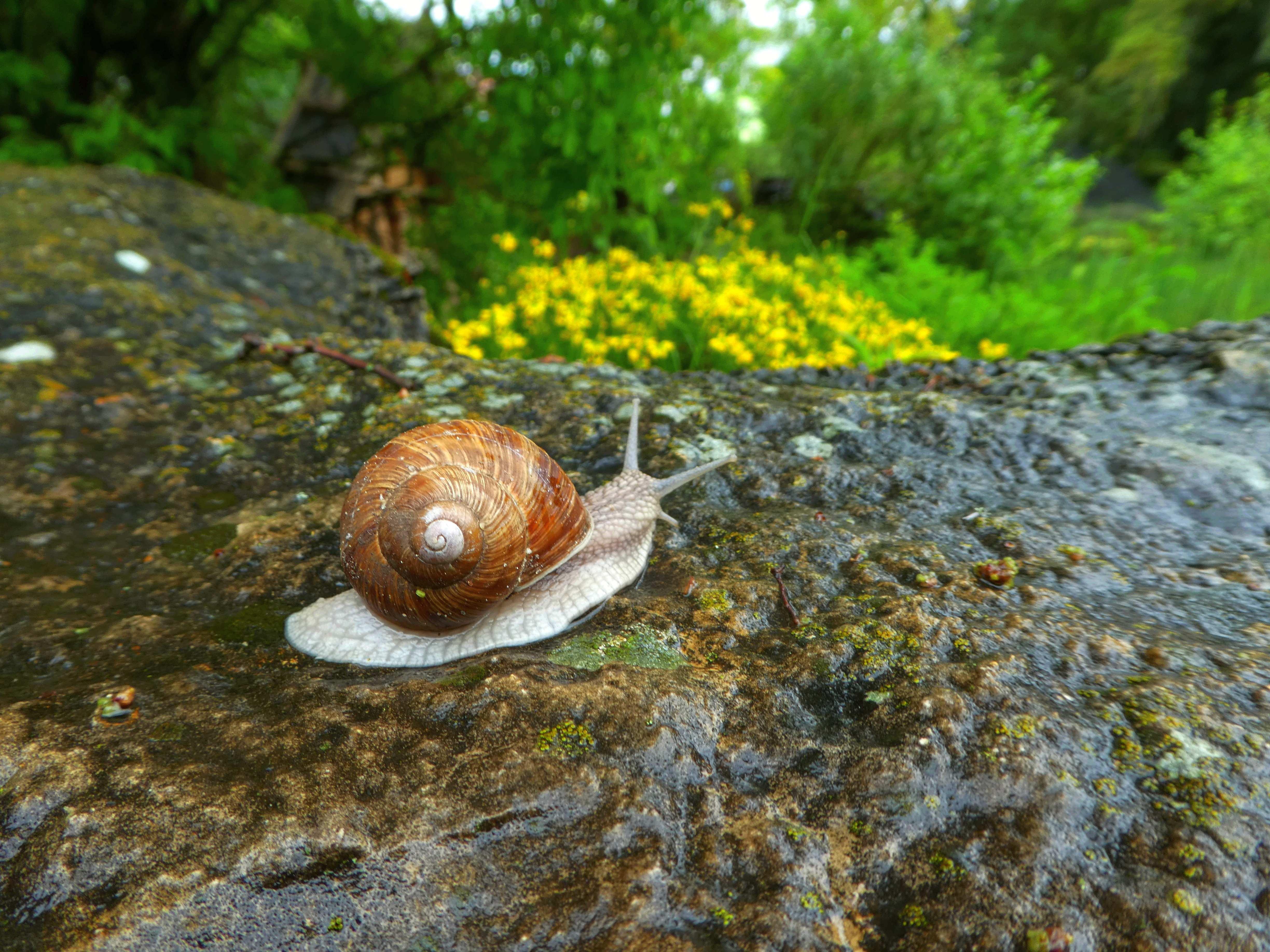 Die schönsten Leserfotos im Mai 2023