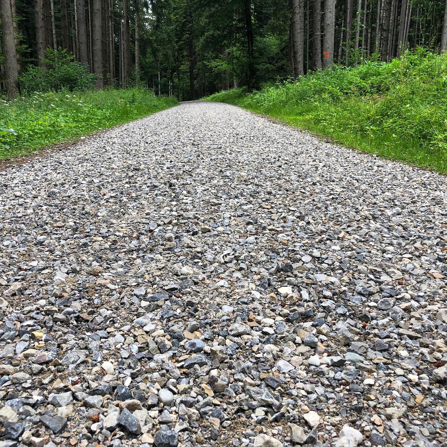 Radler "schwimmen" in Splitt-Schicht: Darum eiert man in den Wäldern um ...