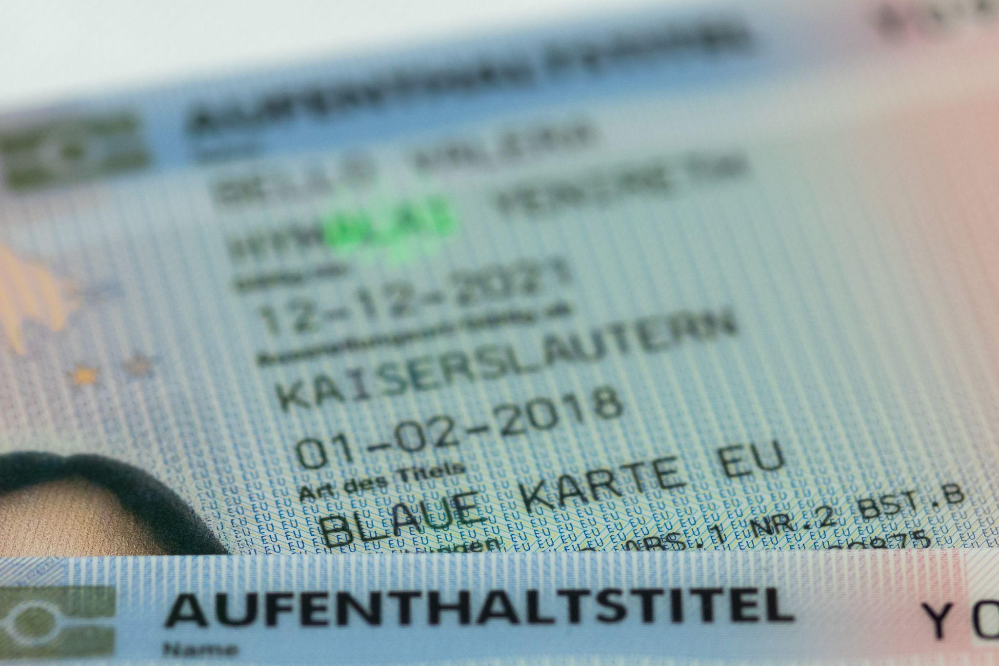 Viele akademische Fachkräfte mit Blue Card sind geblieben