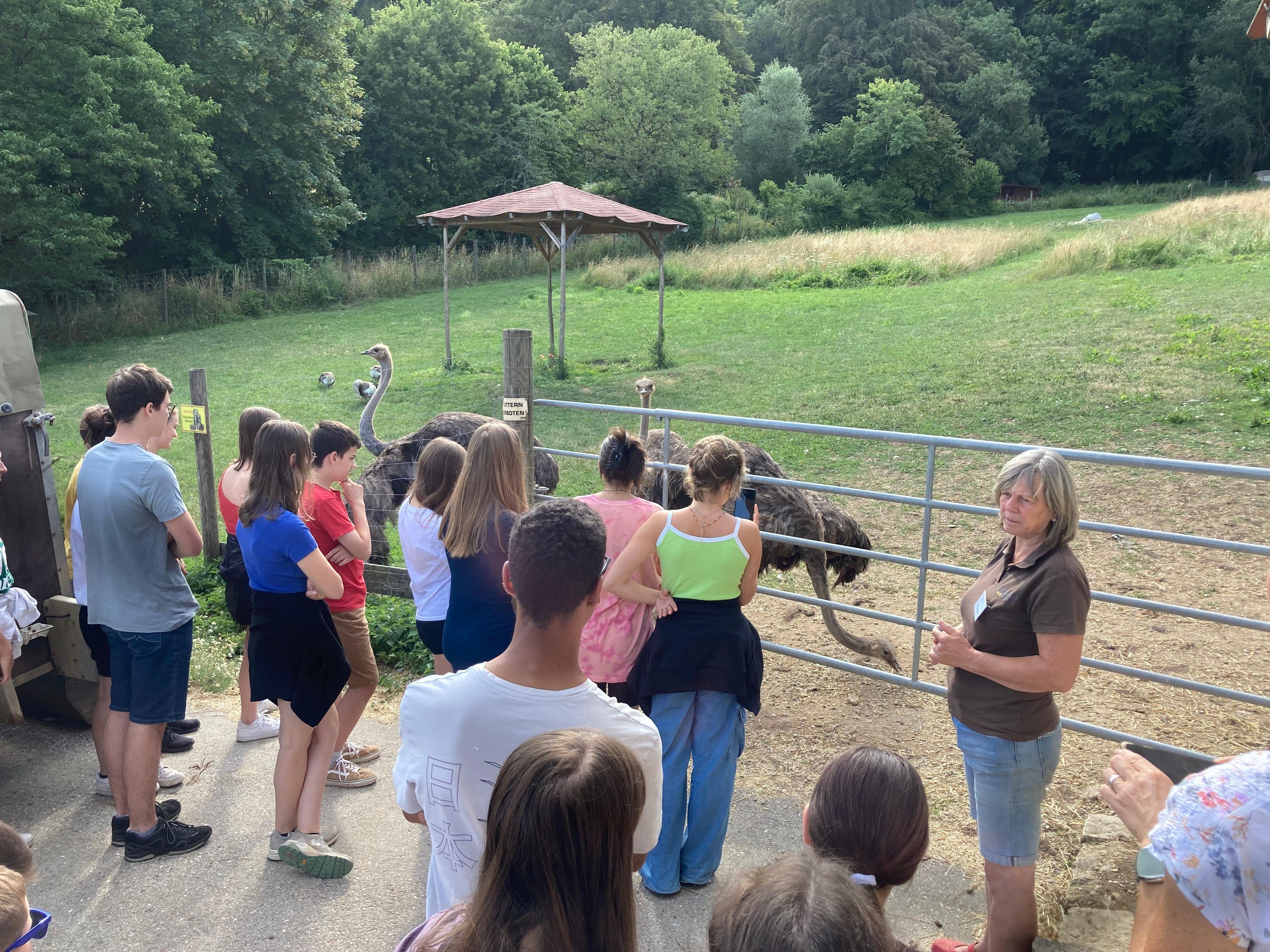 "Erlebnis Bauernhof": Schulklasse zu Gast auf dem Berghof Oberweiler
