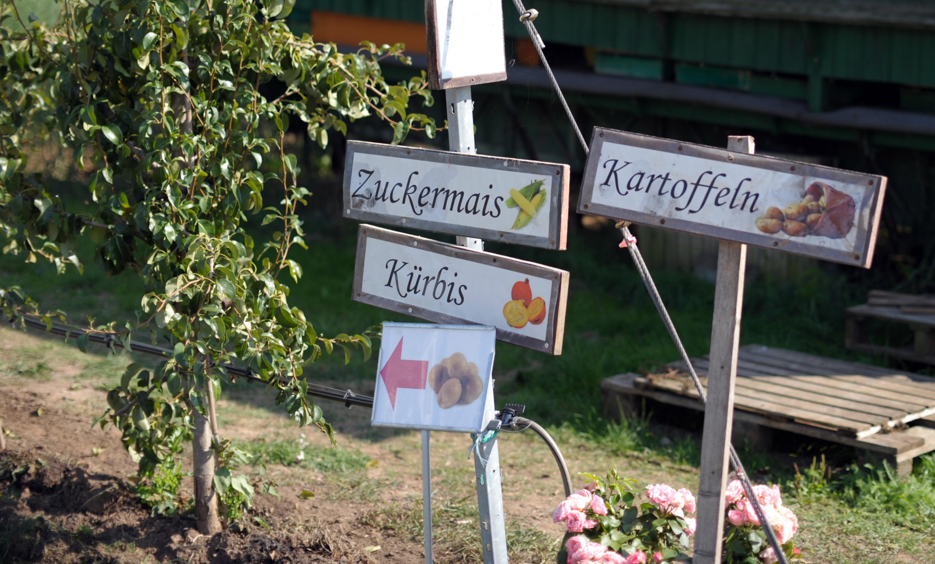 20 Jahre "Huckepack": So geht der Erlebnis-Bauernhof in Hüttendorf in die Zukunft