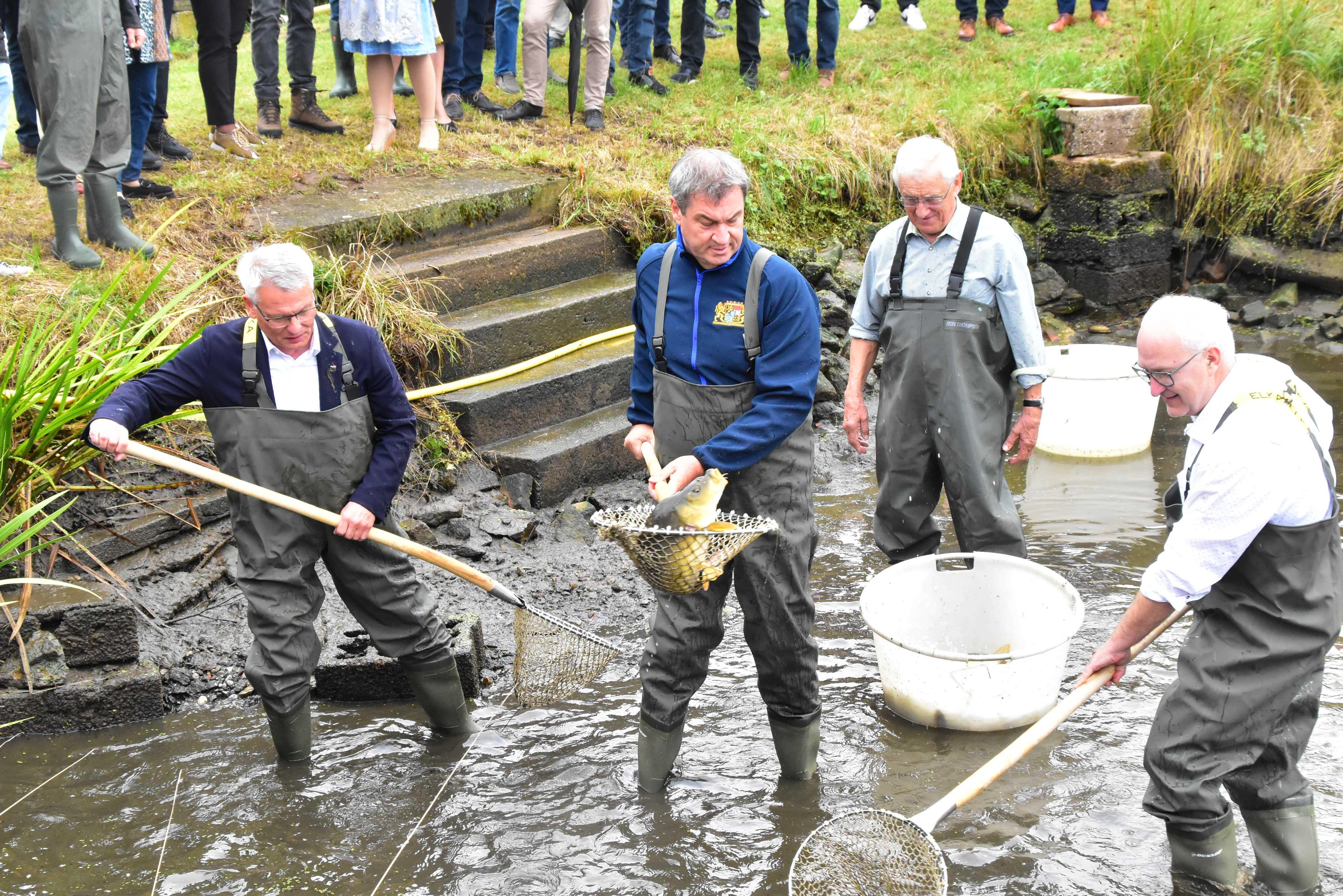 Der Ministerpräsident zog mit den größten Karpfen aus dem Teich