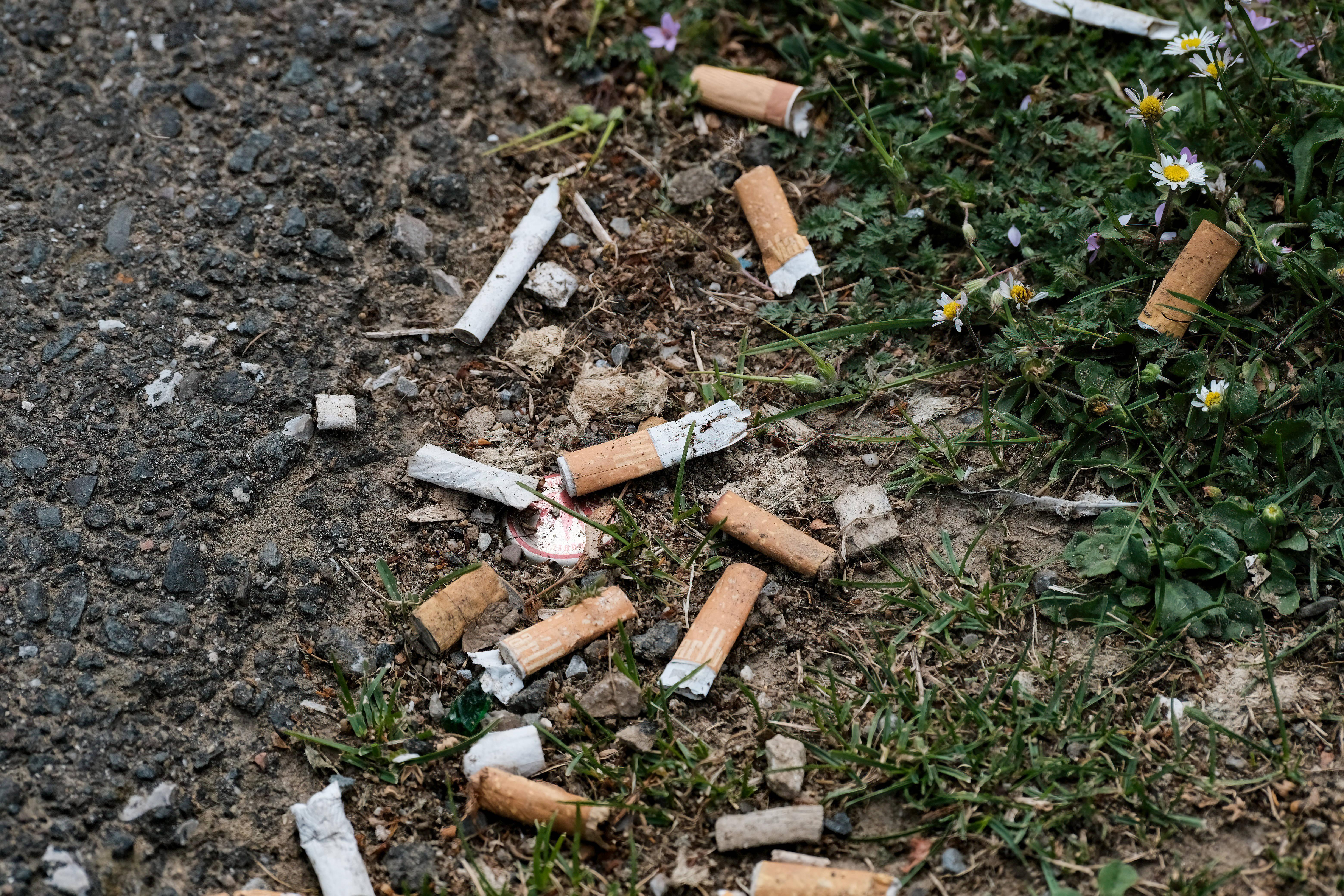 Zigaretten: Wie schädlich ist Rauchen für die Umwelt?