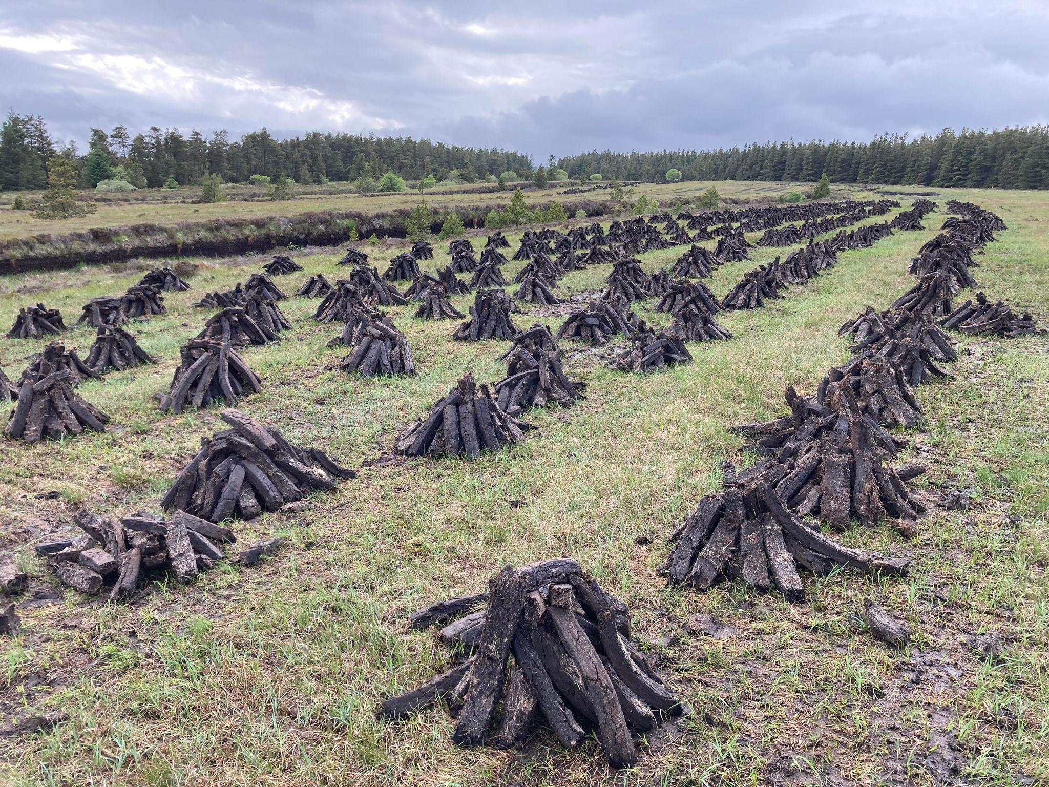 Torf in Irland: Heimelig, aber unheimlich schädlich