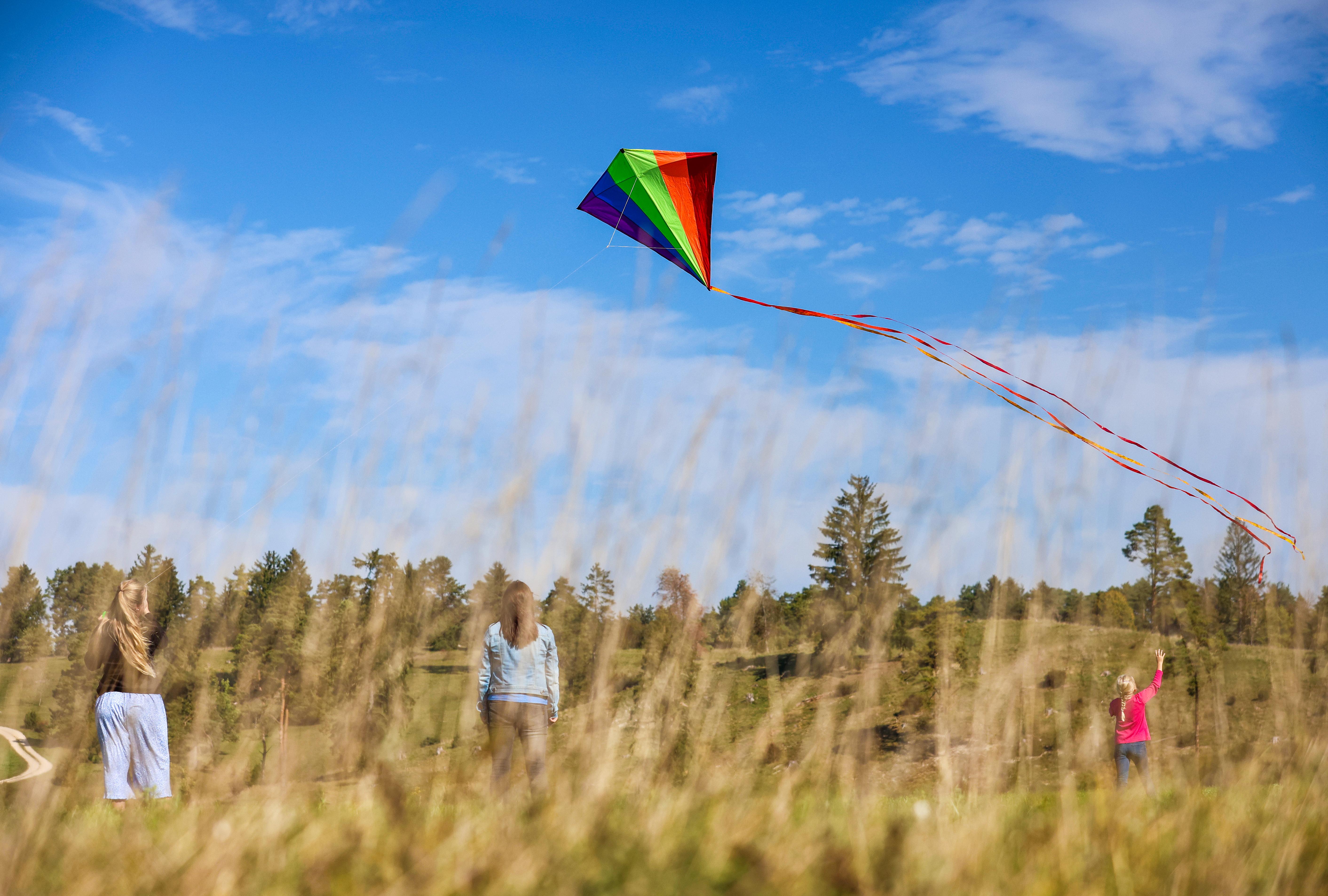 Drachensteigen: Worauf die Neumarkter bei diesem Herbstspaß achten sollten