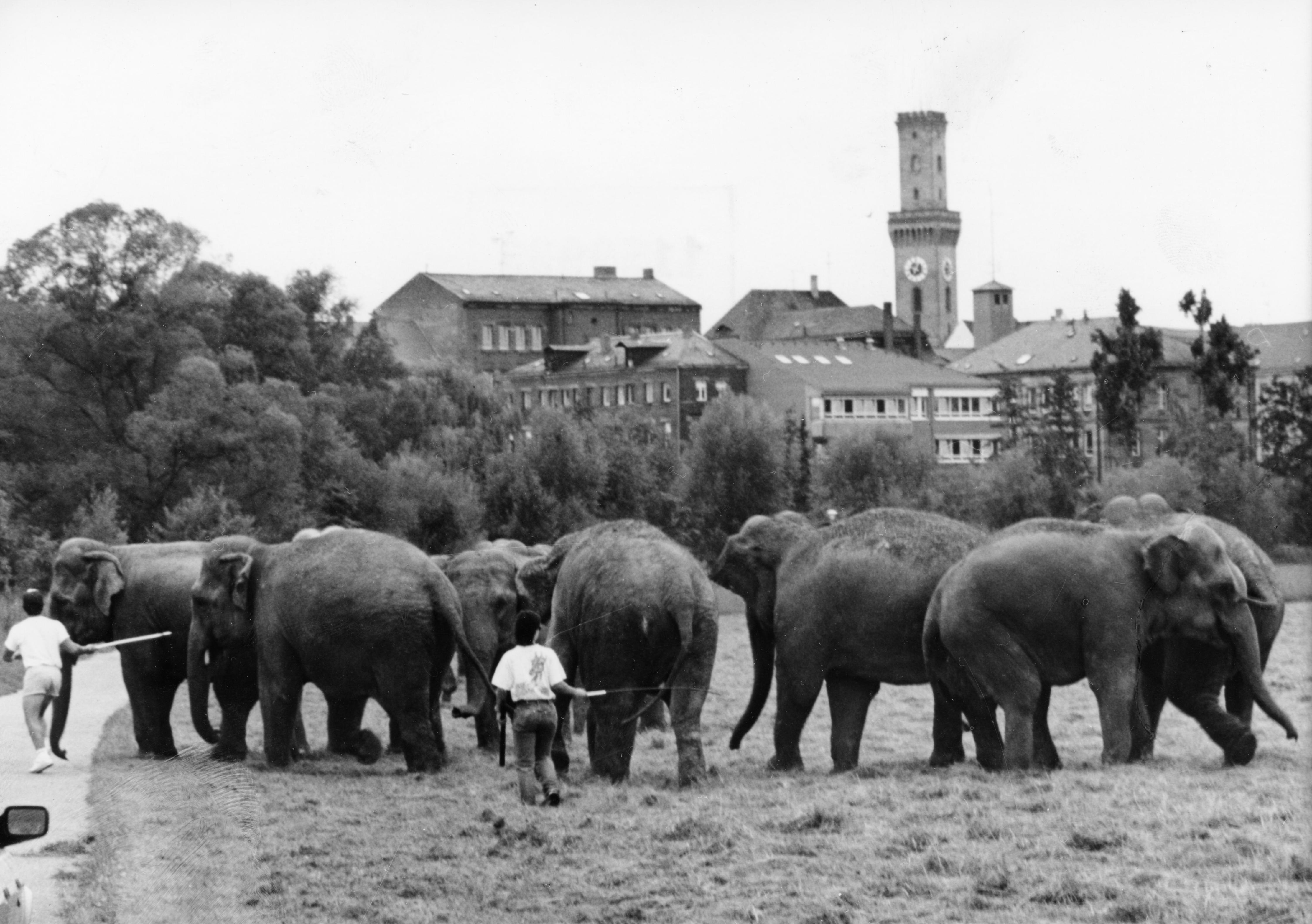 Fürths Wahrzeichen Nummer eins: Das Rathaus macht immer eine gute Figur