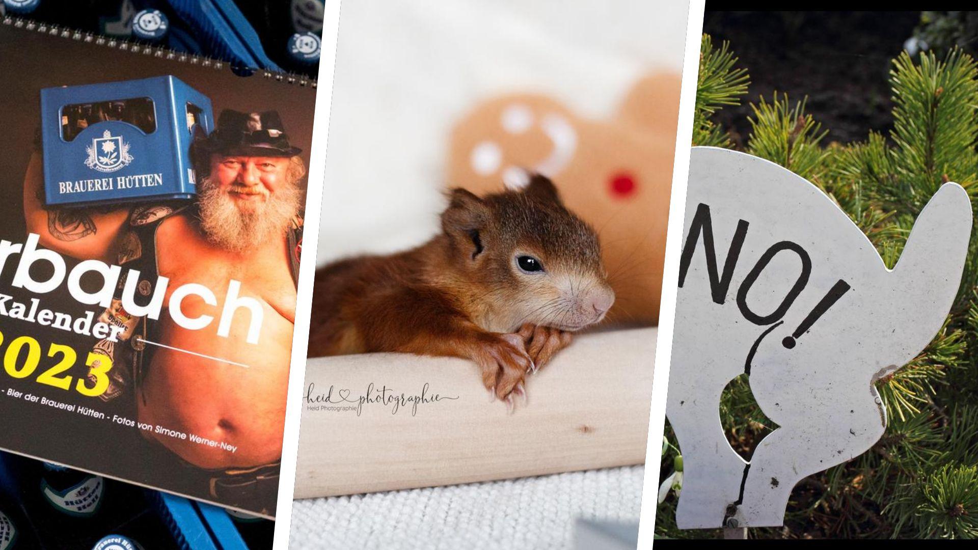 Hundekot, Bierbäuche und Leberkas: Das sind die skurrilsten Kalender ...