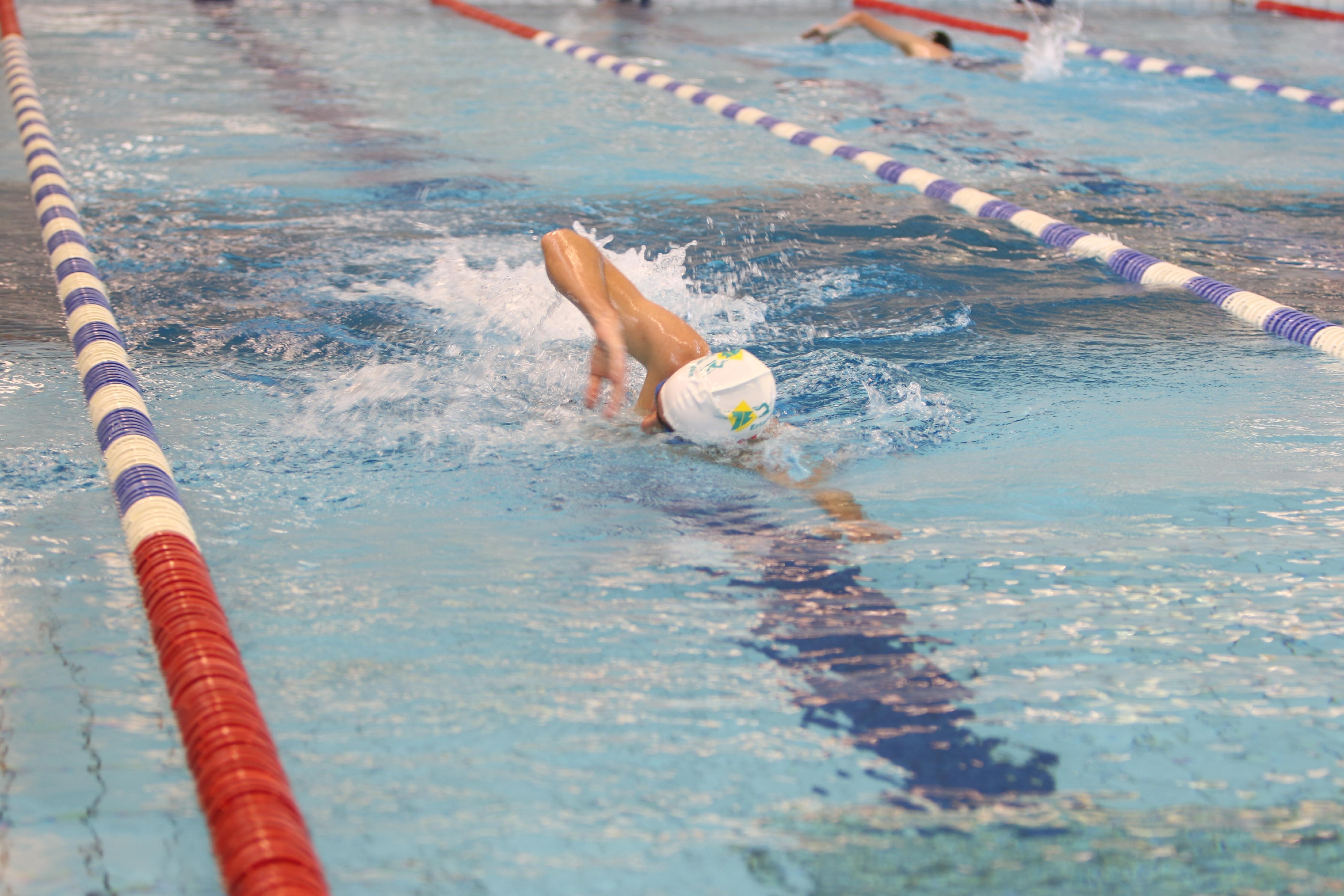 Schwimm-Team des TB Erlangen steigt in die Bayernliga auf