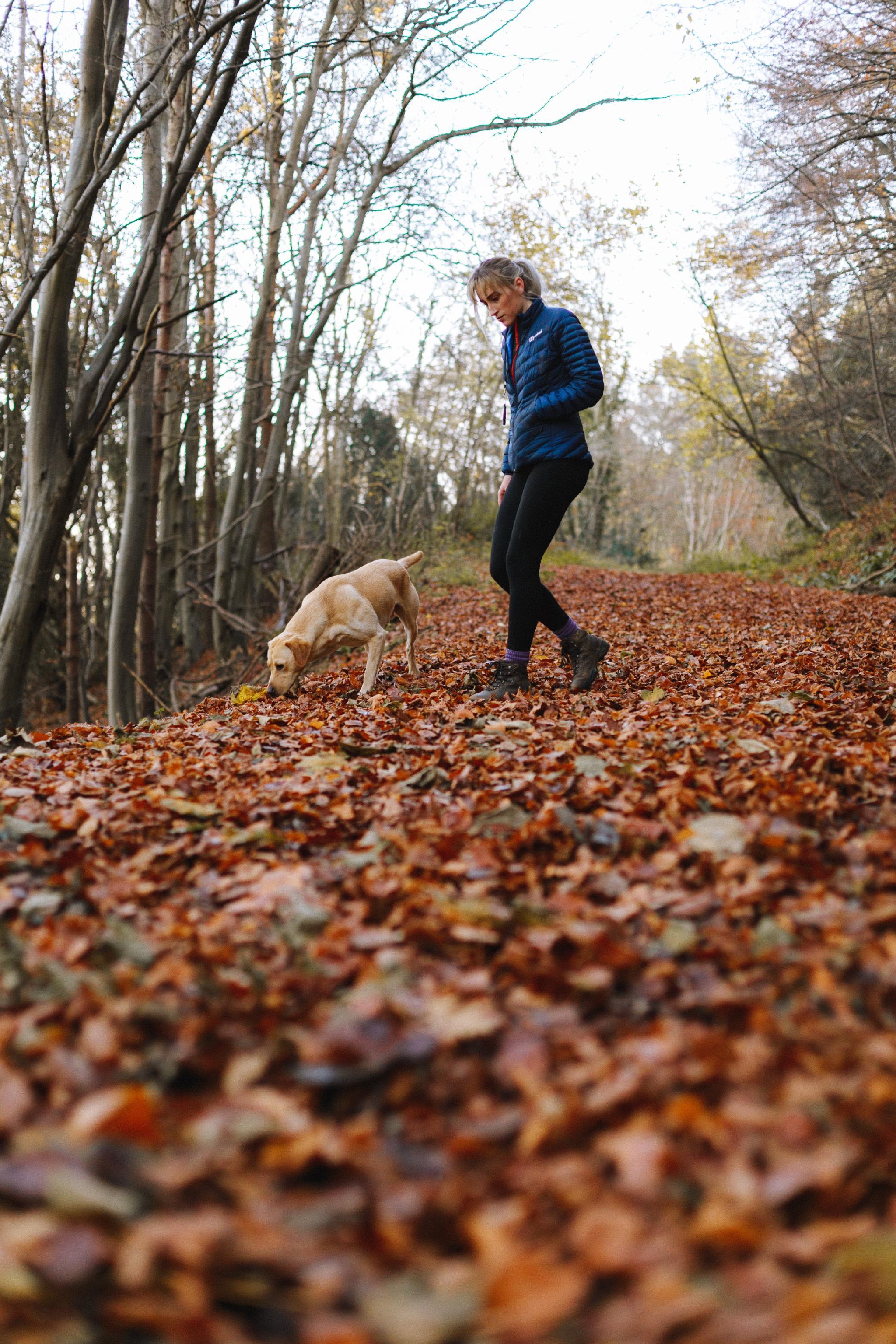 Natur und Kultur: Hundefreundliche Ausflugsziele in Regensburg