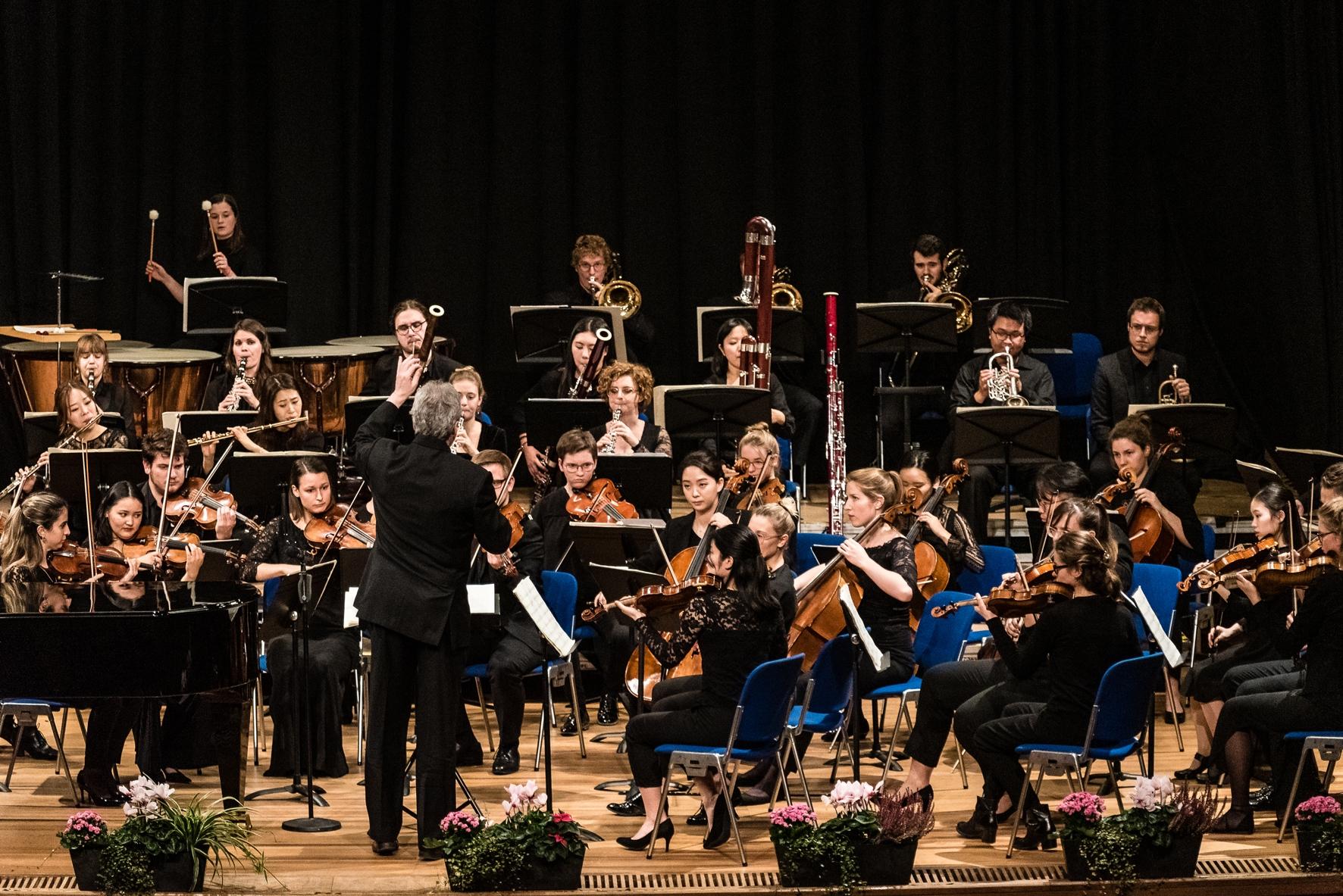 Musik, Tanz, Literatur, bildende Kunst, Festivals: So spannend wird ...