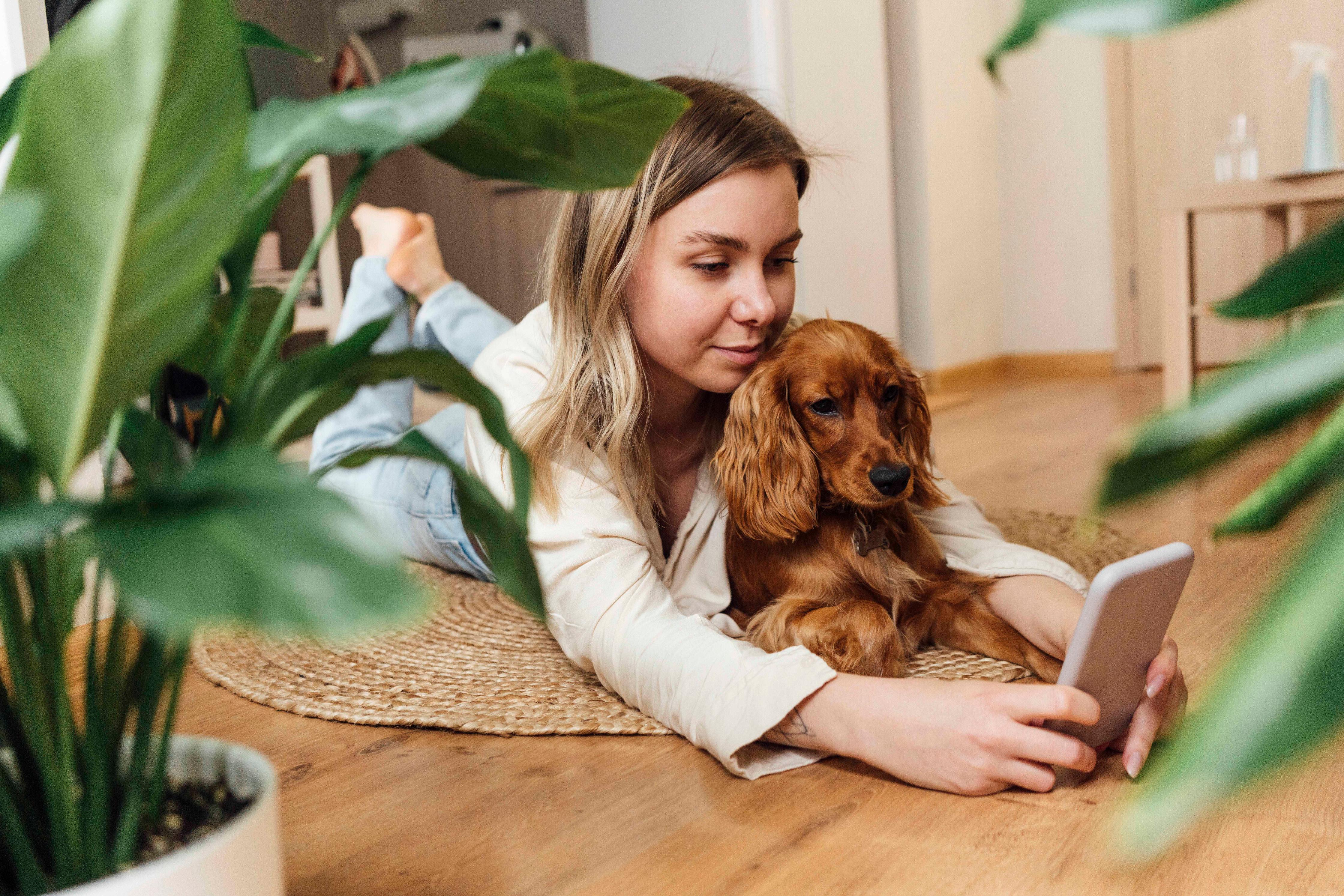 Hund und Katze versorgen mit einem Klick: Welche Handy-Apps ...