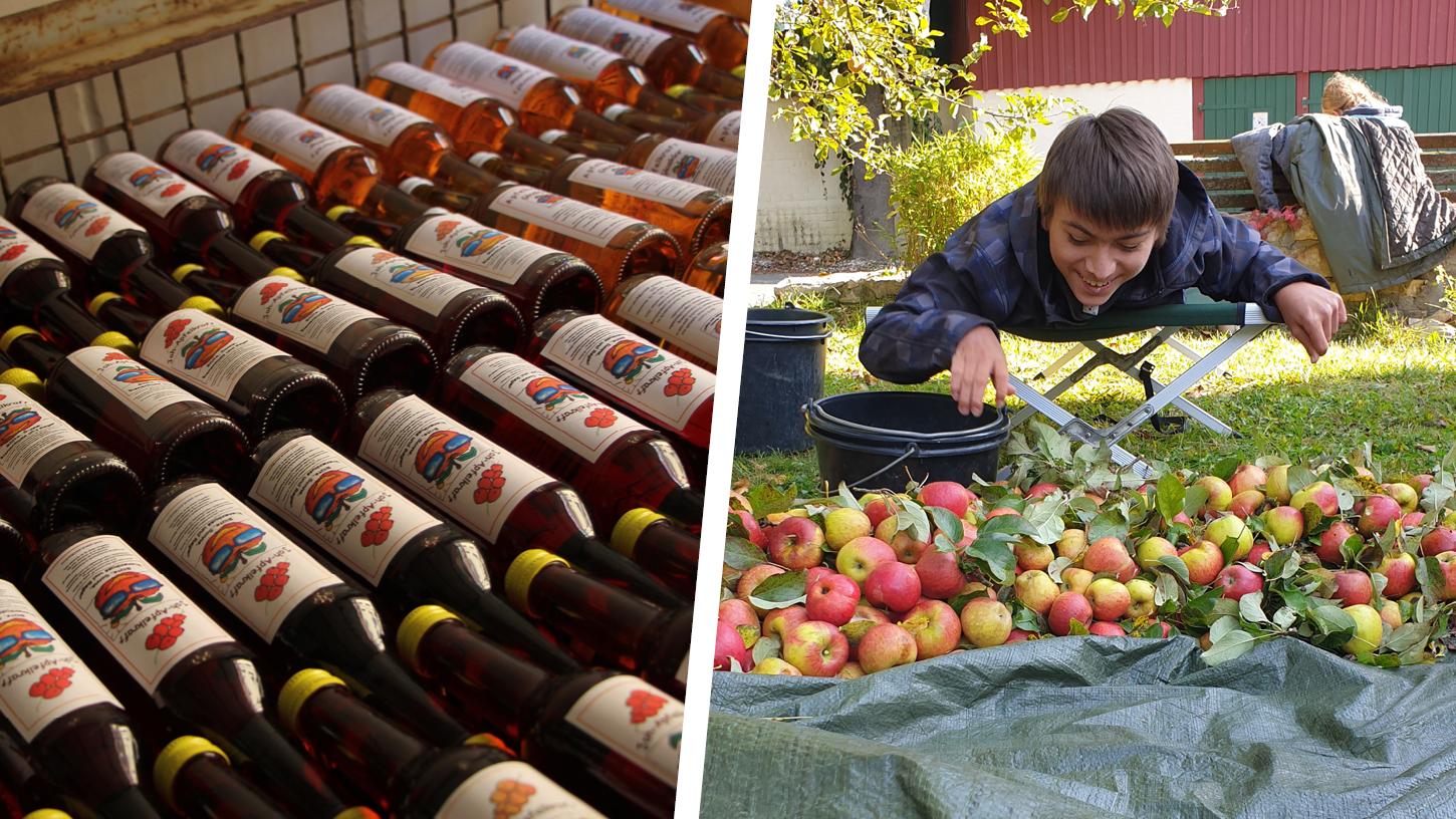 Apfelkraft: Ein Saft nach dem Motto „Wir lassen euch nicht hängen“