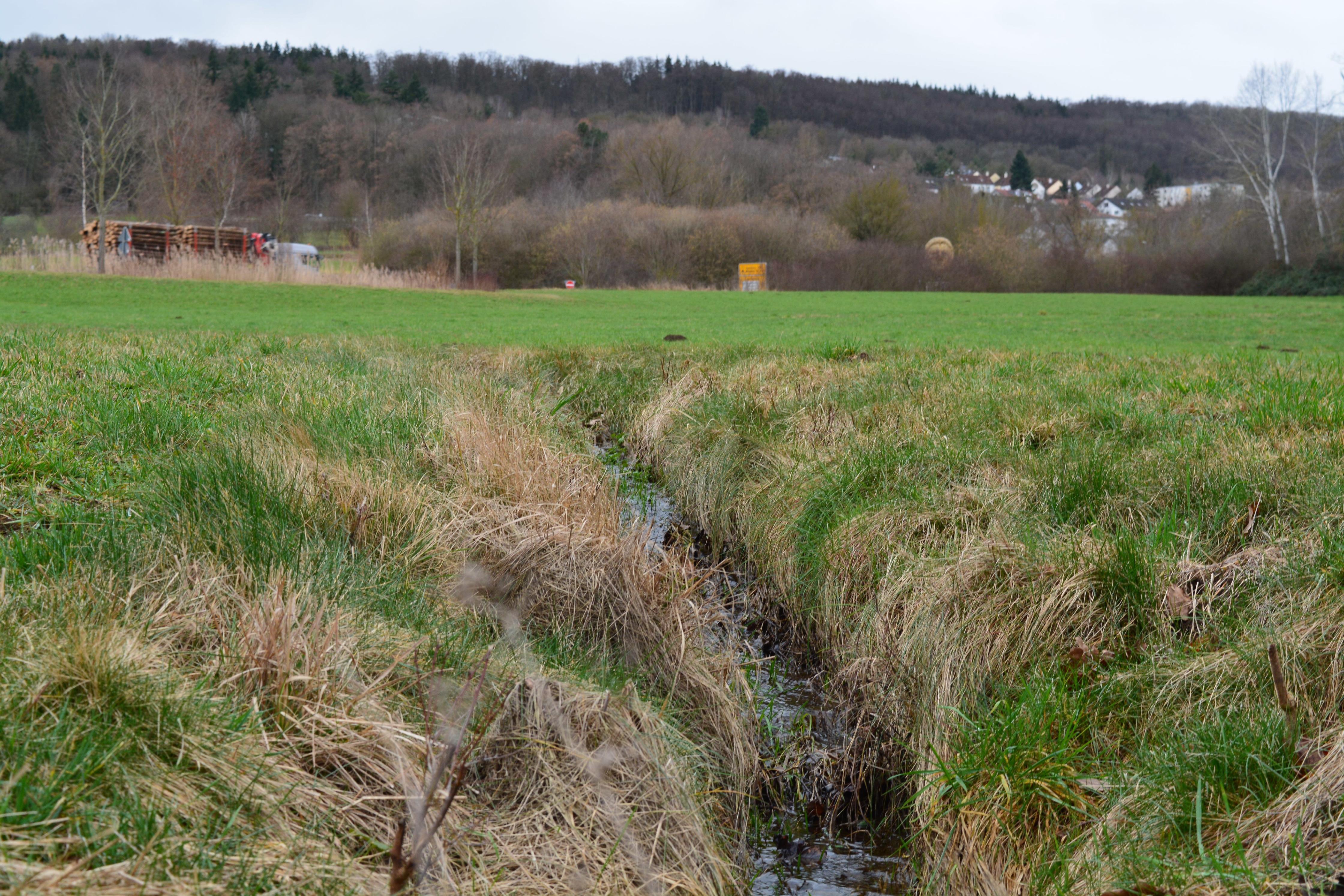 Umbau der Weißenburger „Hörnlein-Kreuzung“ bringt riesiges ...