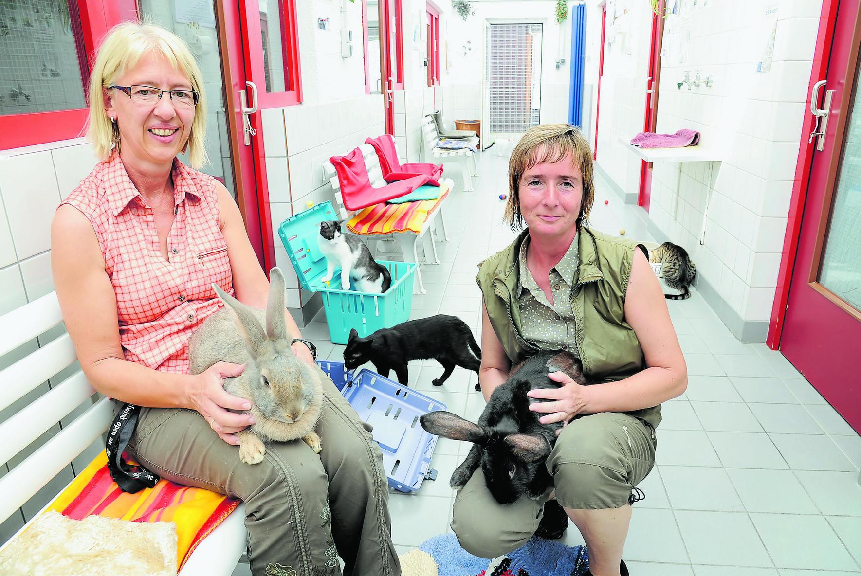 Retter für 812 Tiere