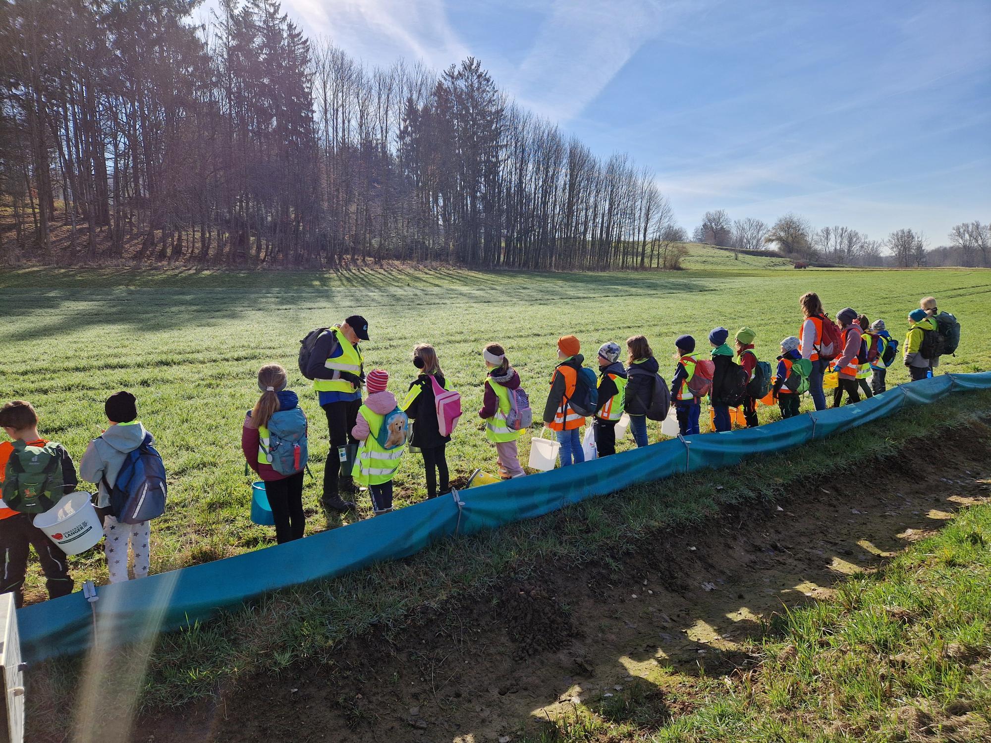 Mit Kröten, Spinnen und Insekten: Die Naturparkschule Nennslingen war ...